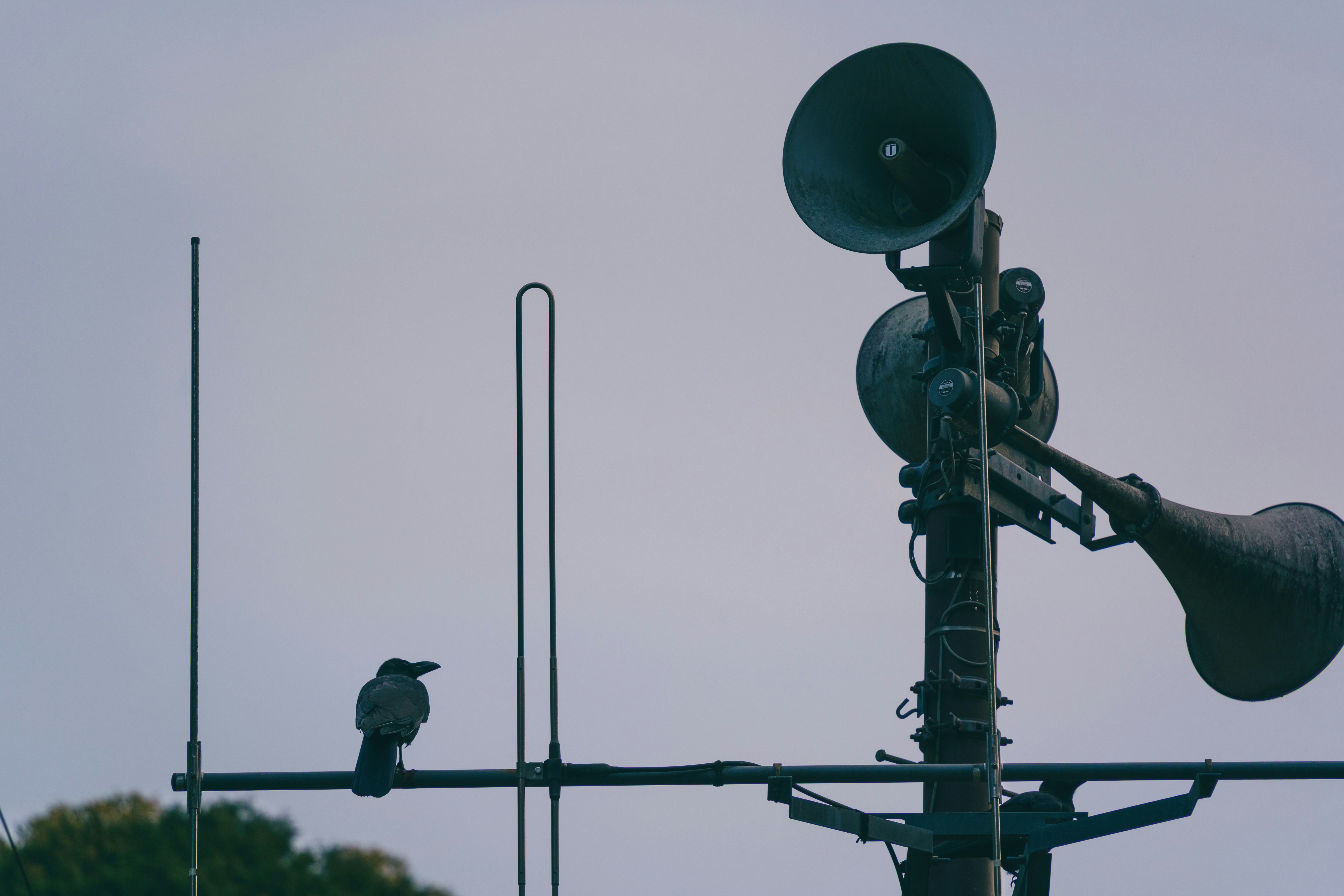 Bird on a Quiet Rail: Perched against a tech silhouette