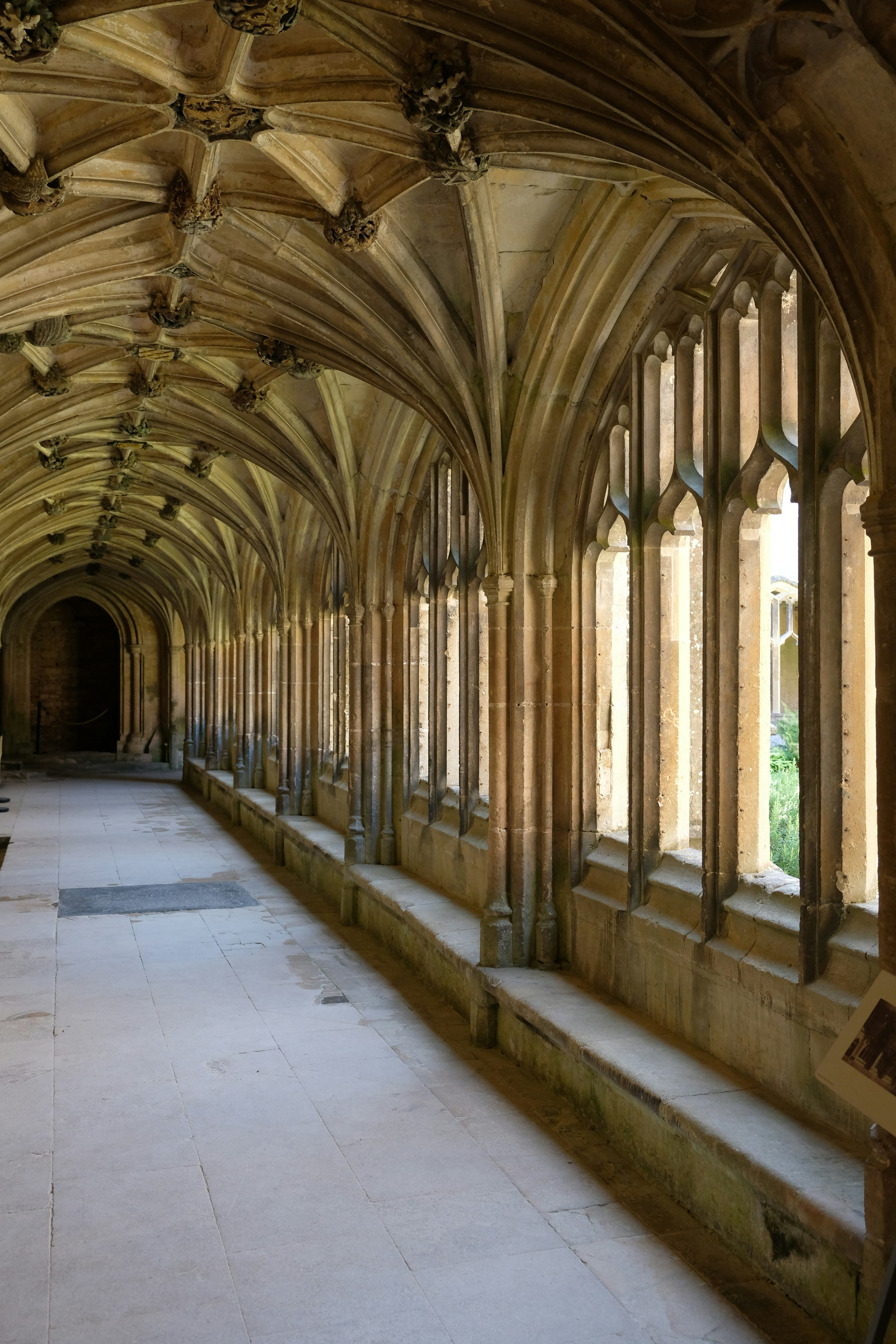 A Colonnade of Light: Gothic Vaults Running the Corridor