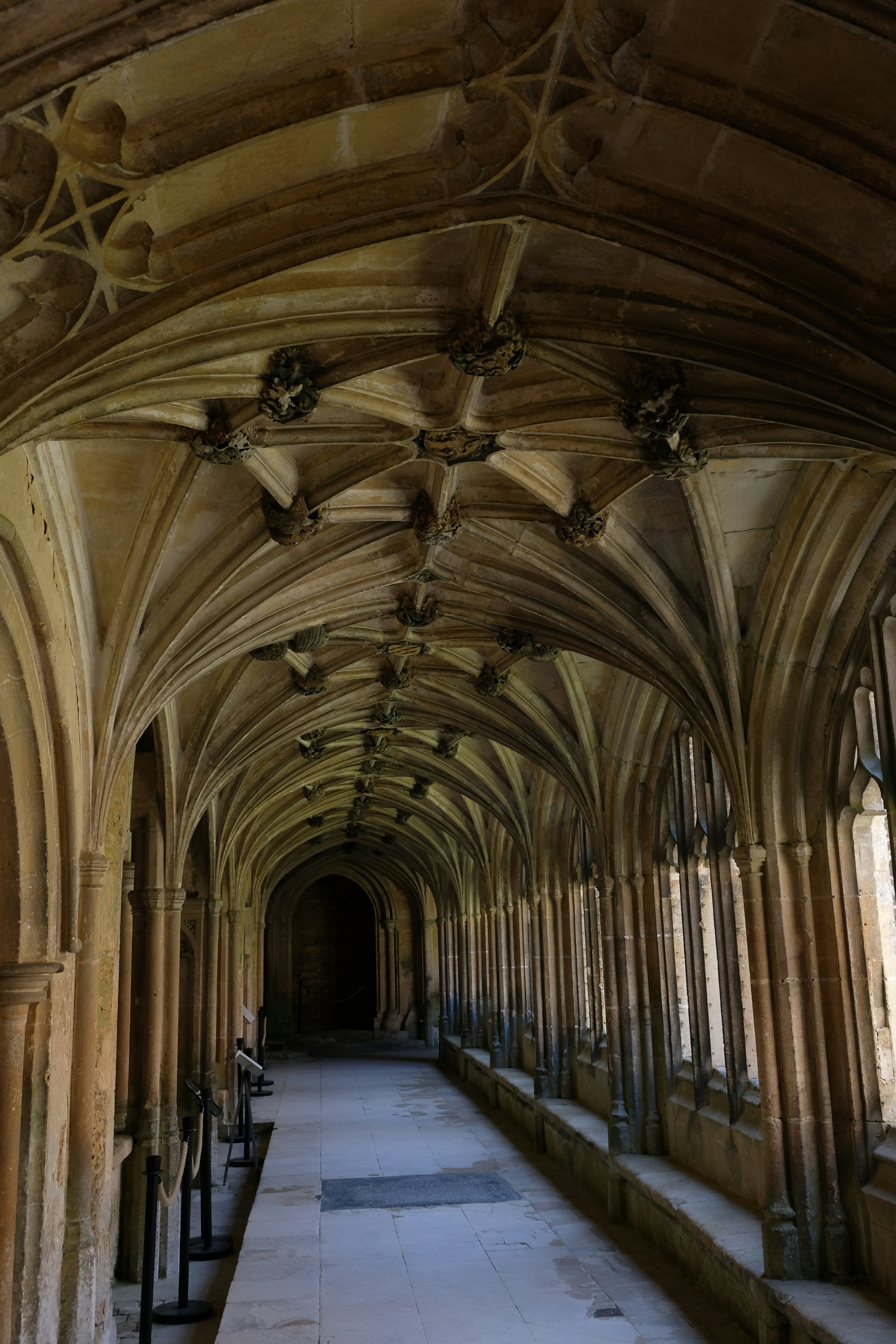 Cloister Vaults: A Quiet Corridor of Stone Arches