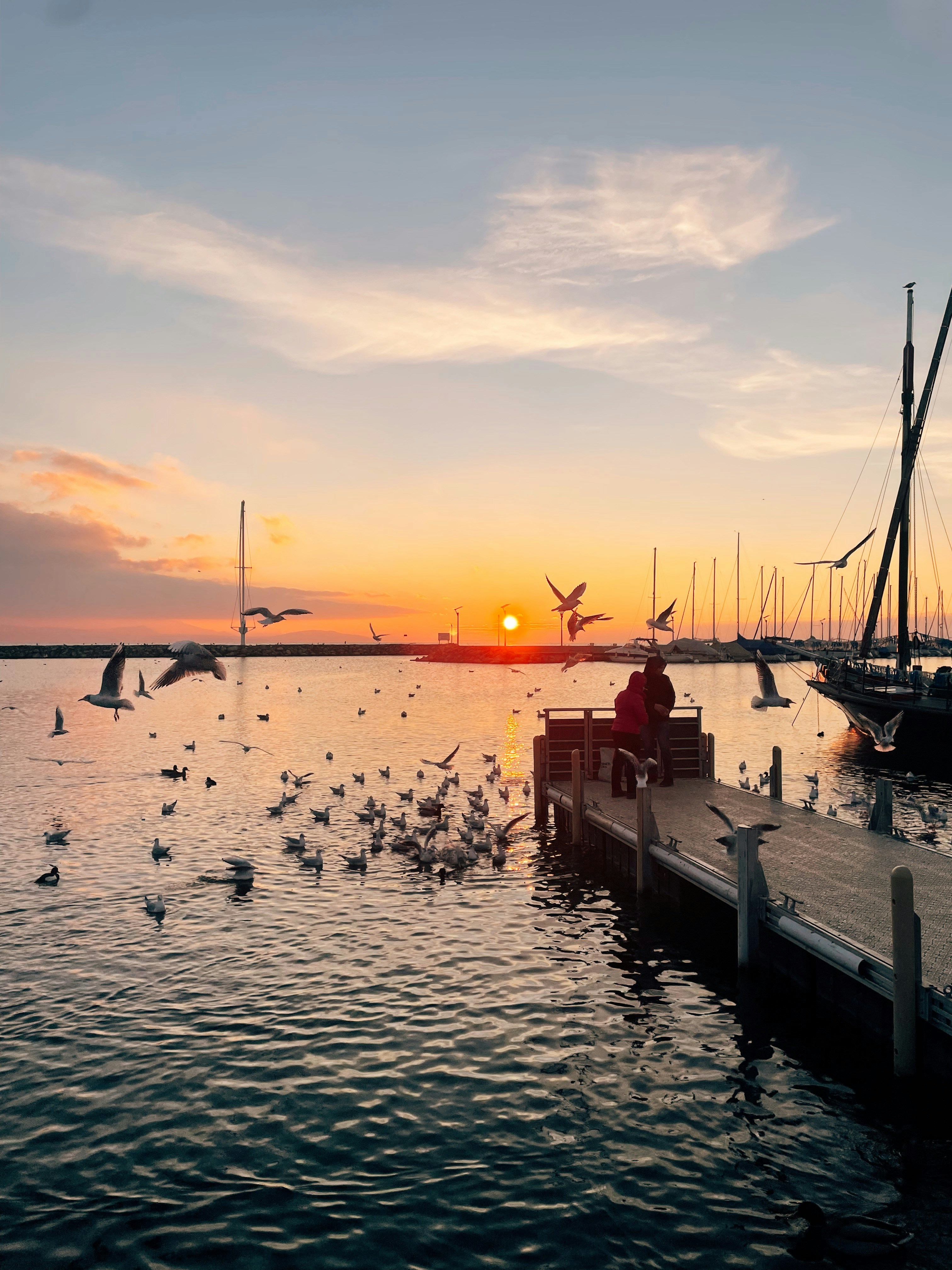 Sunset at the Pier: Seabirds, Silhouettes and a Quiet Moment