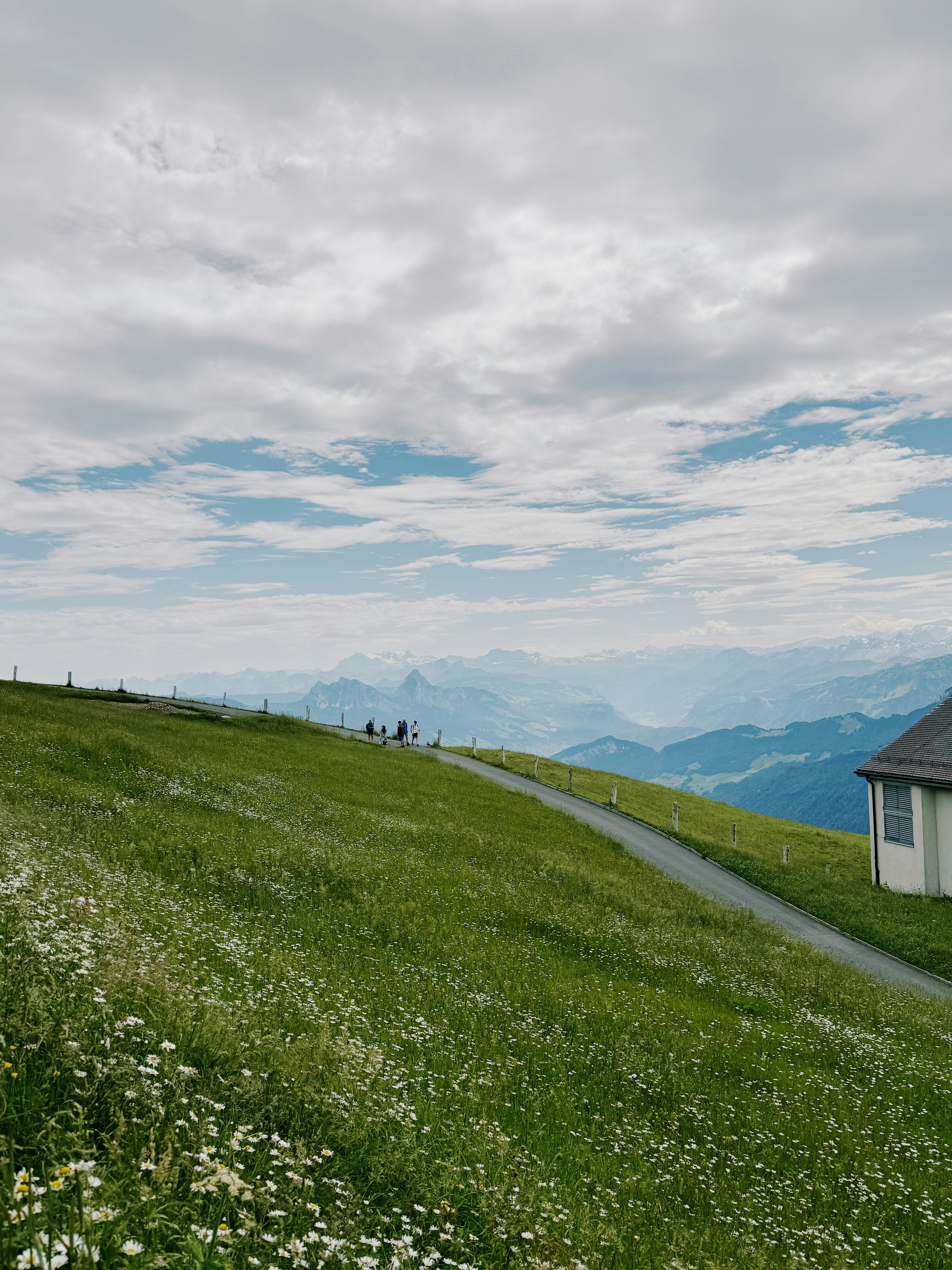 Hilltop Path Toward Distant Alps