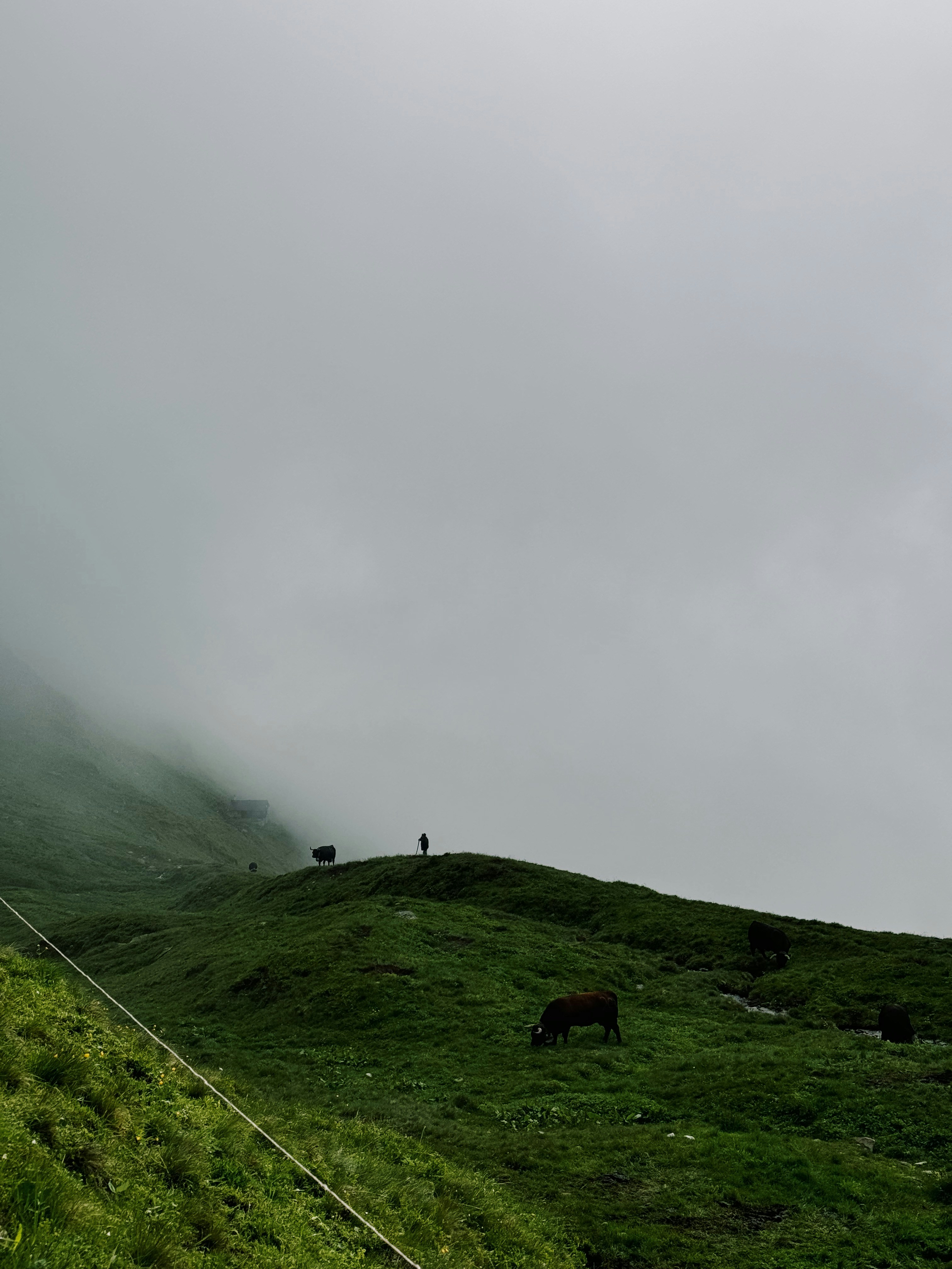 Grazing Ridge in Low-Cloud Lilt