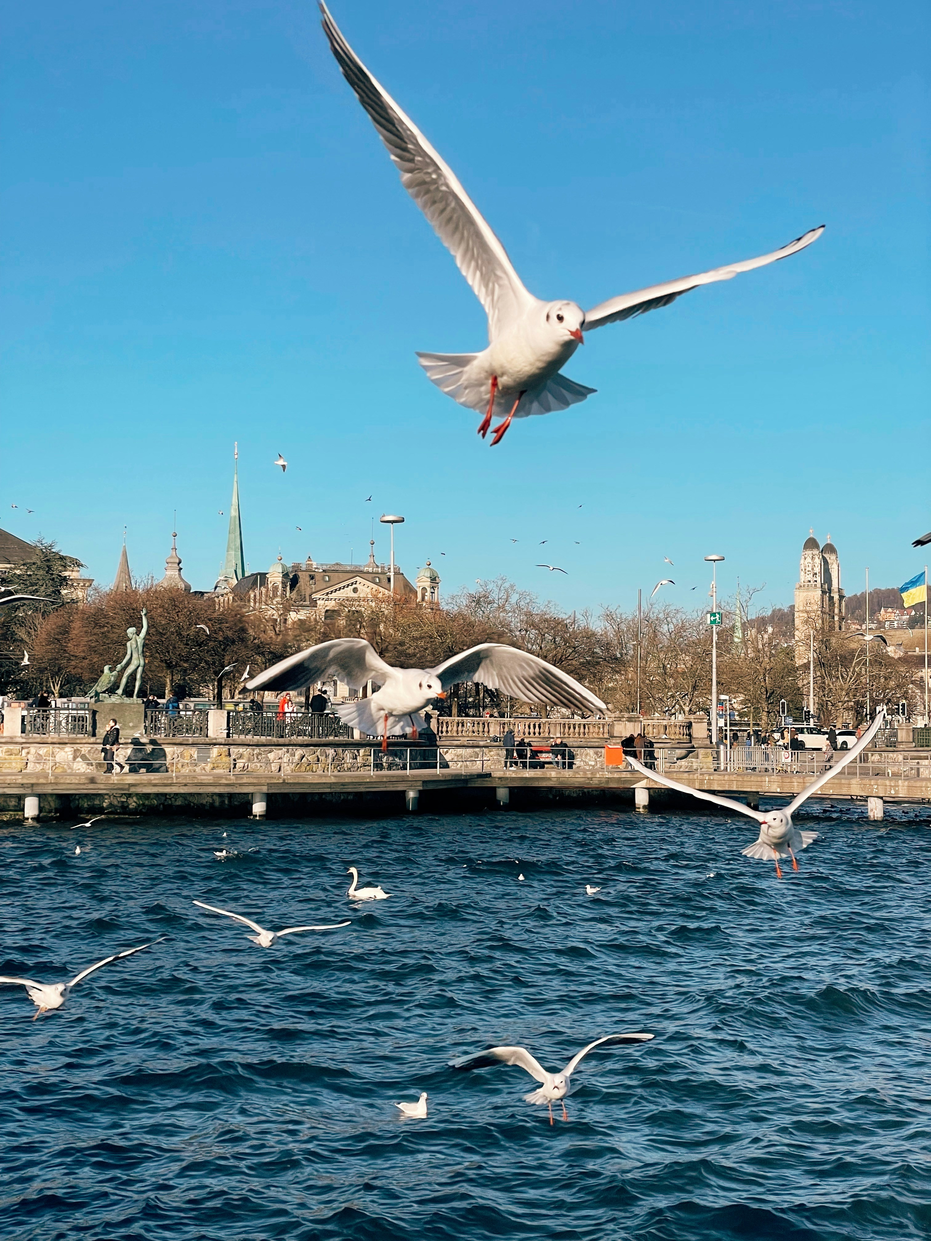 Winged Rendezvous Over the River Promenade