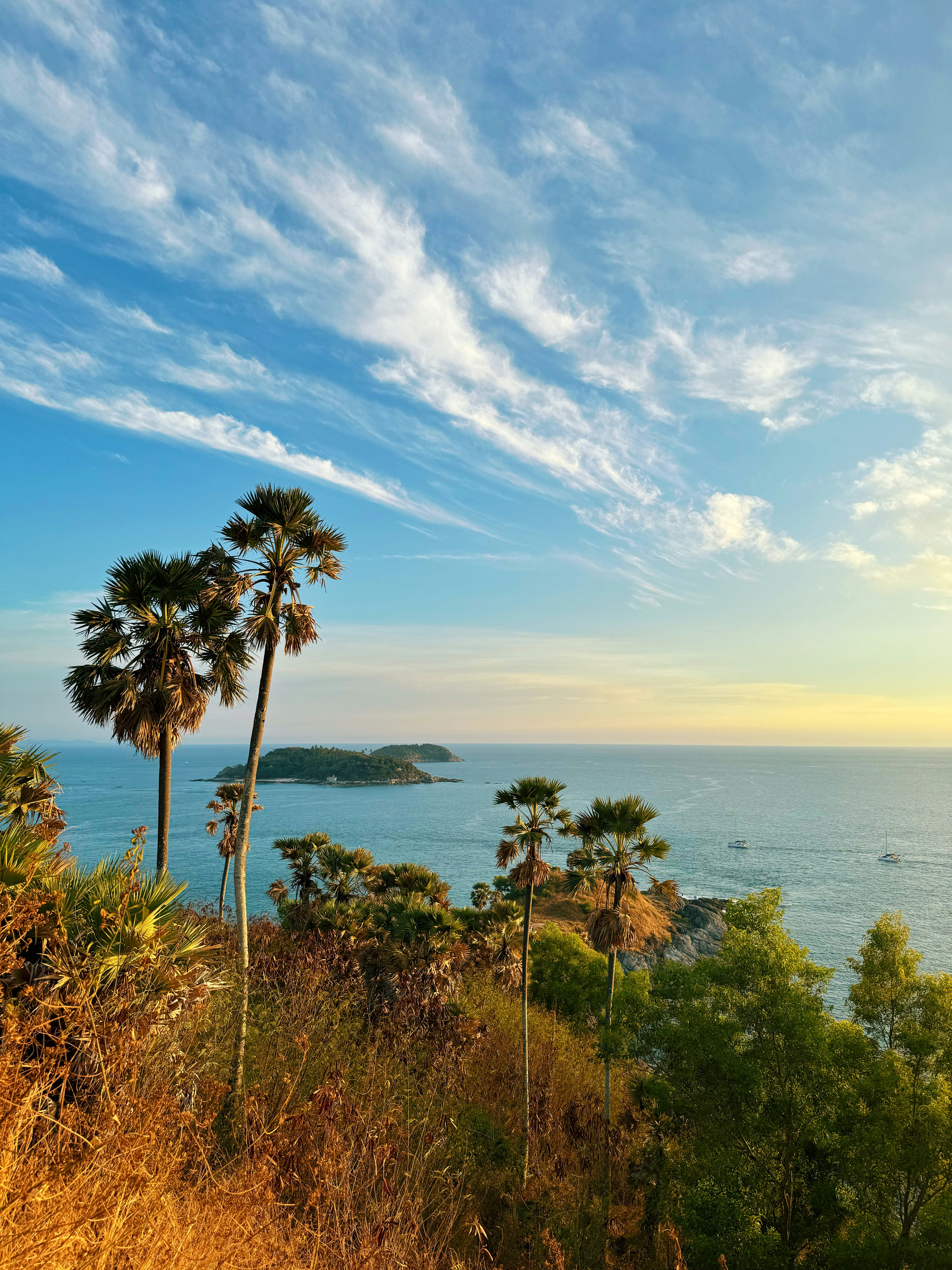 Sunlit coastline with tall palm trees in the foreground and a calm sea meeting the horizon; a small island and rugged shoreline add depth.