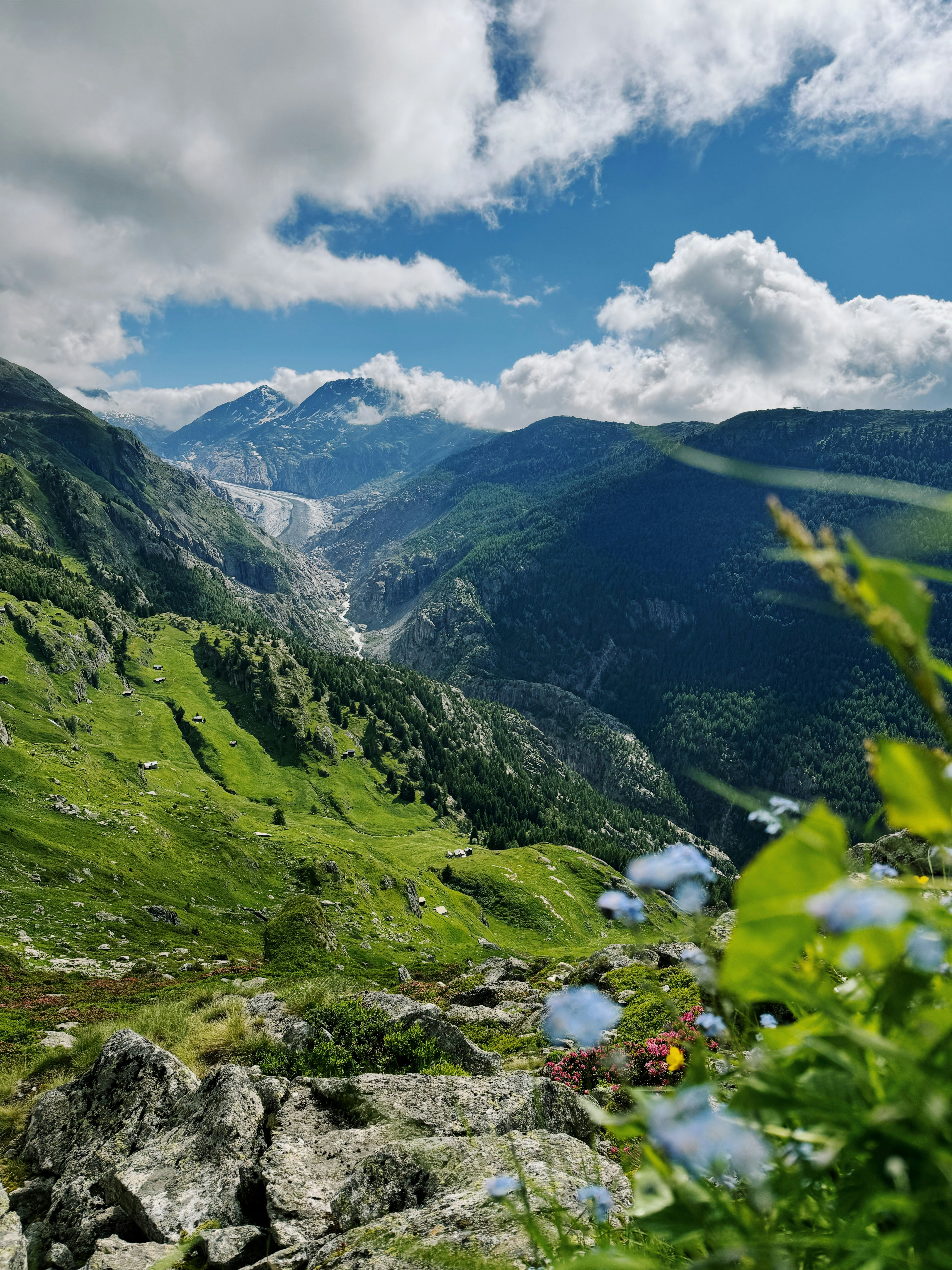 Verdant Valley Ascent Under a Breezy Alpine Sky