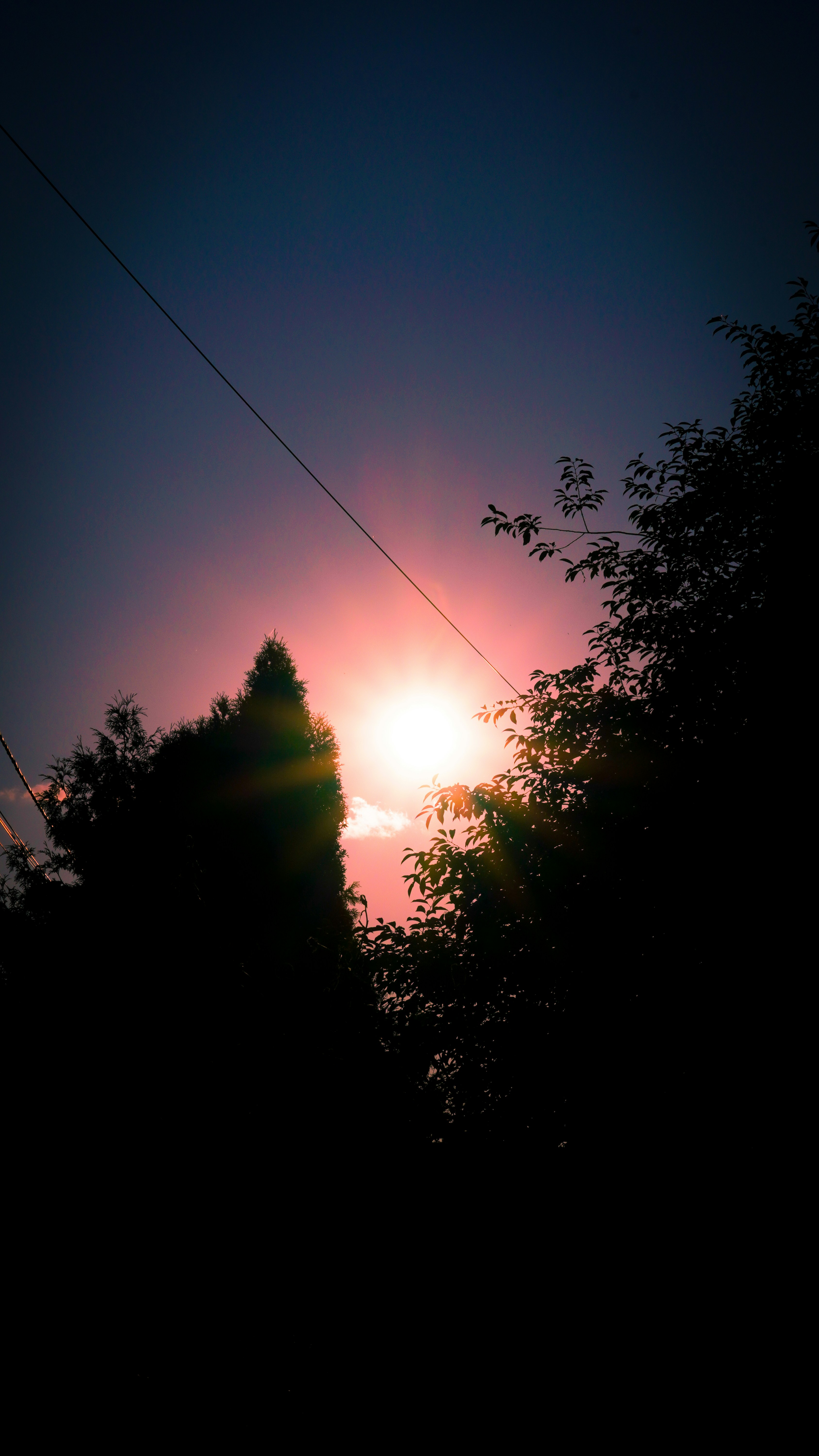 Sunlit Burst Through Treeline at Dusk