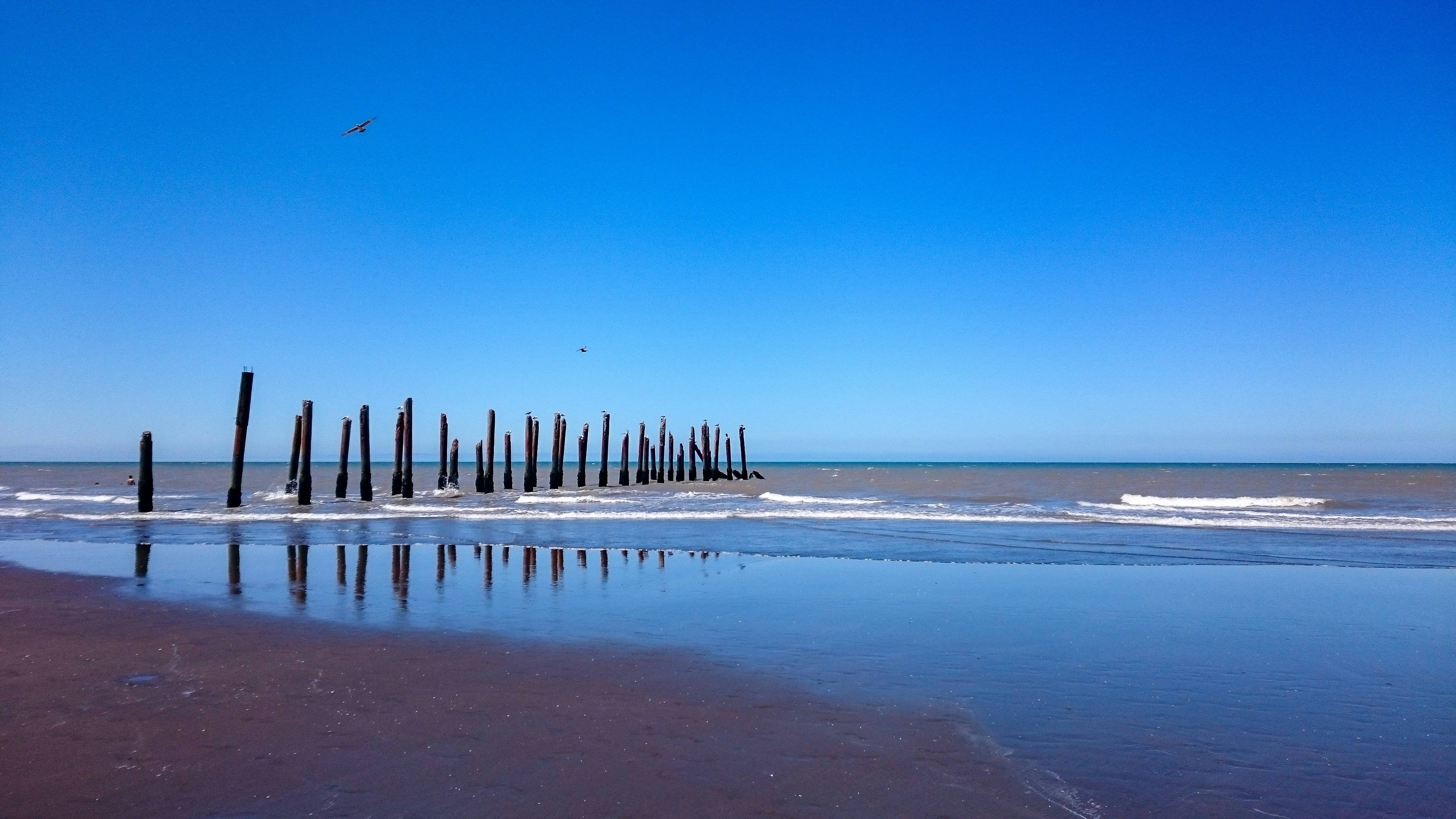 Long weathered pilings extend into the calm sea, creating repeating verticals that converge toward the distant horizon over a tidal shoreline.