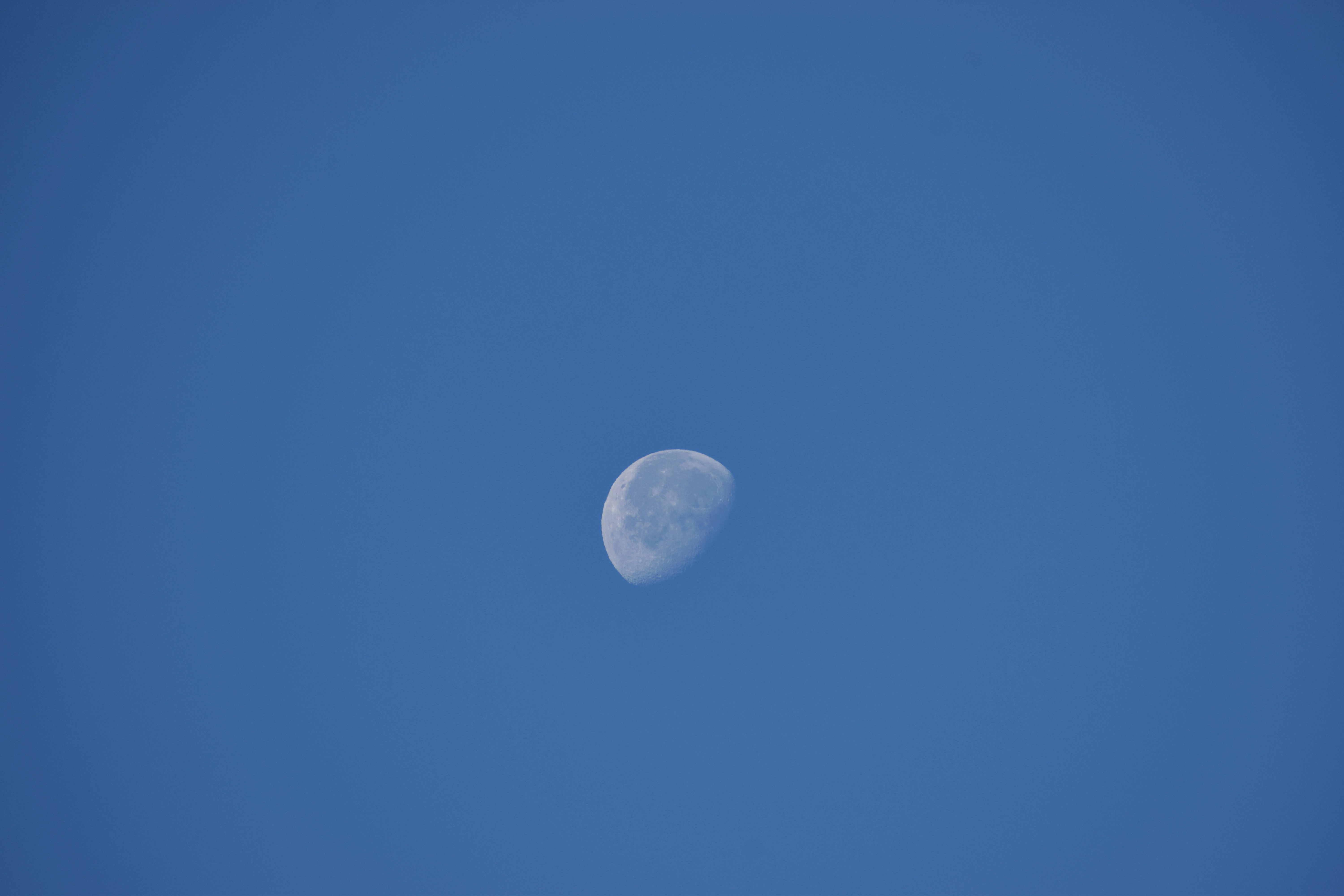 Luna in Azure: a pale crescent resting in a calm evening sky