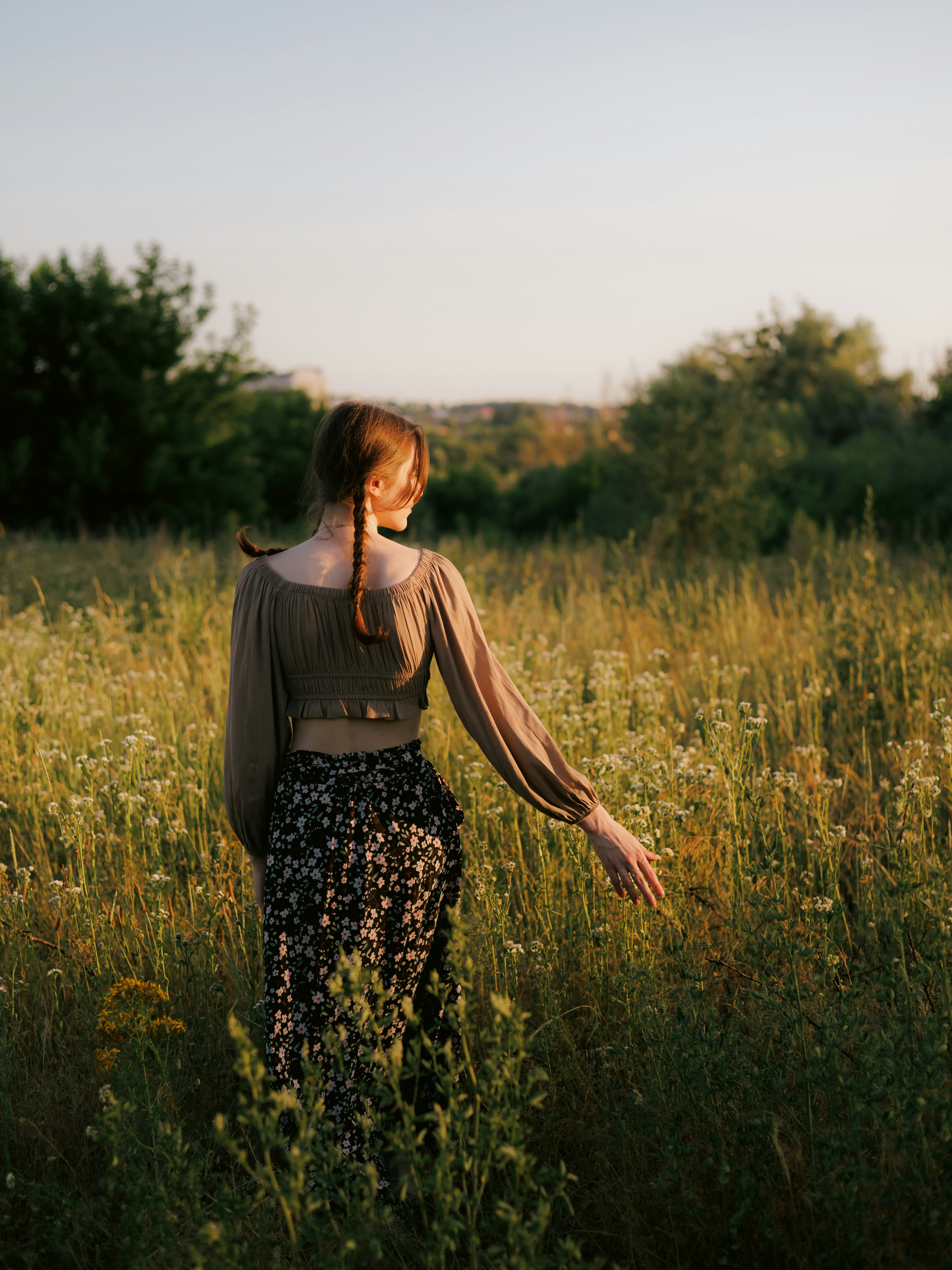 Dusk in the Meadow: A Backlit Portrait of Quiet Boundaries