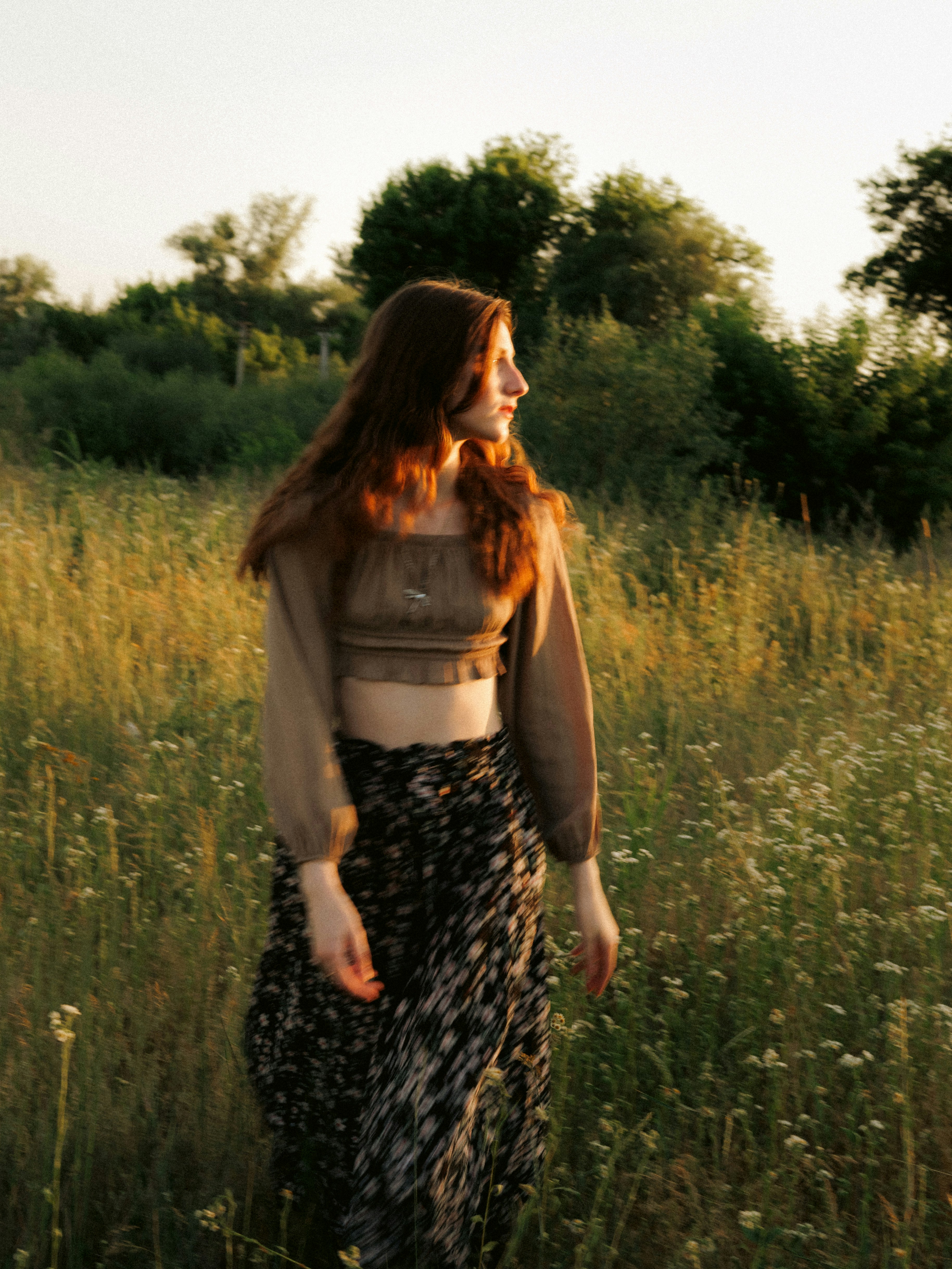 Golden Hour Reverie in a Meadow