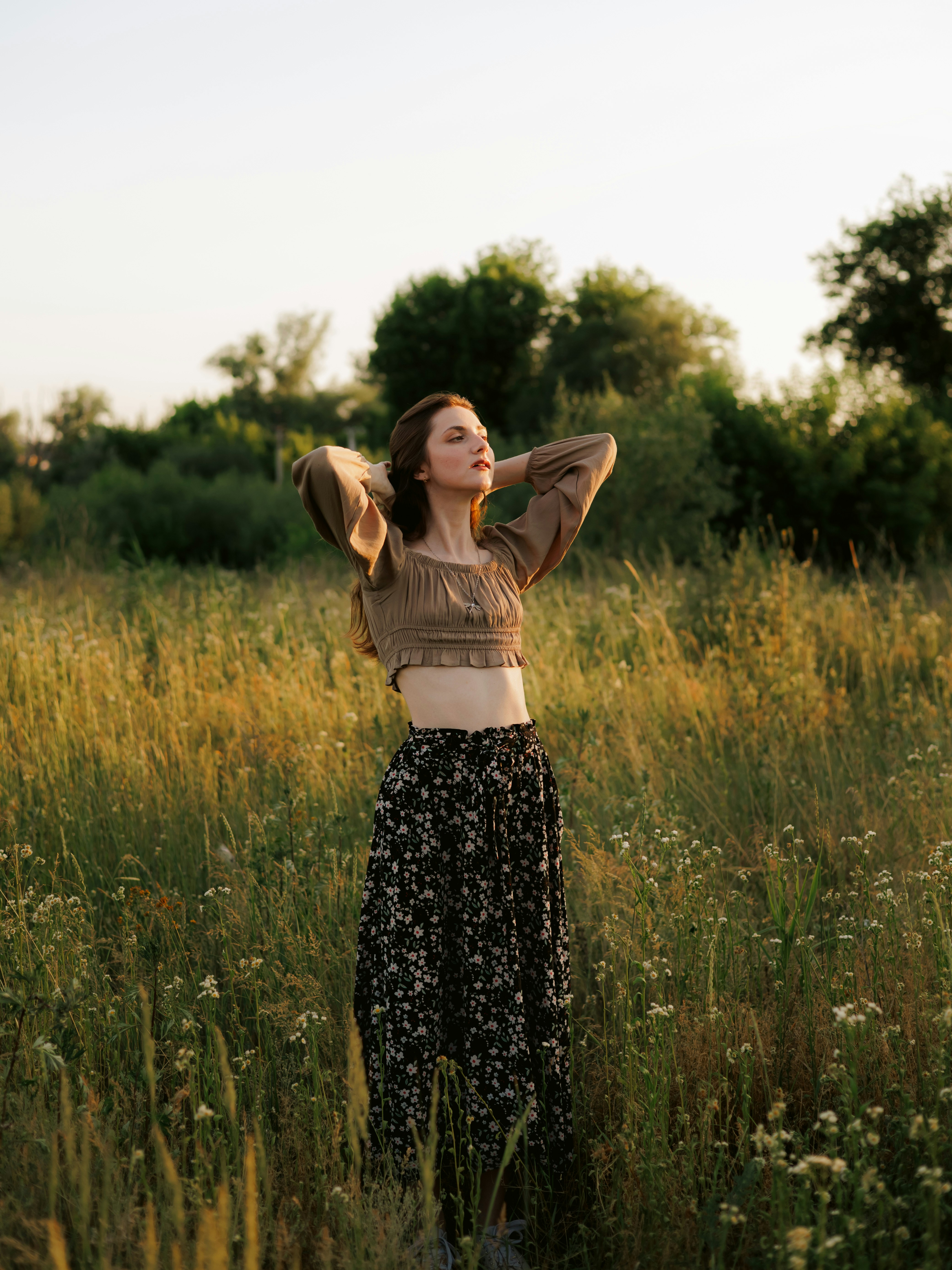 Sunlit Meadow Reverie: A Portrait in Golden Quiet