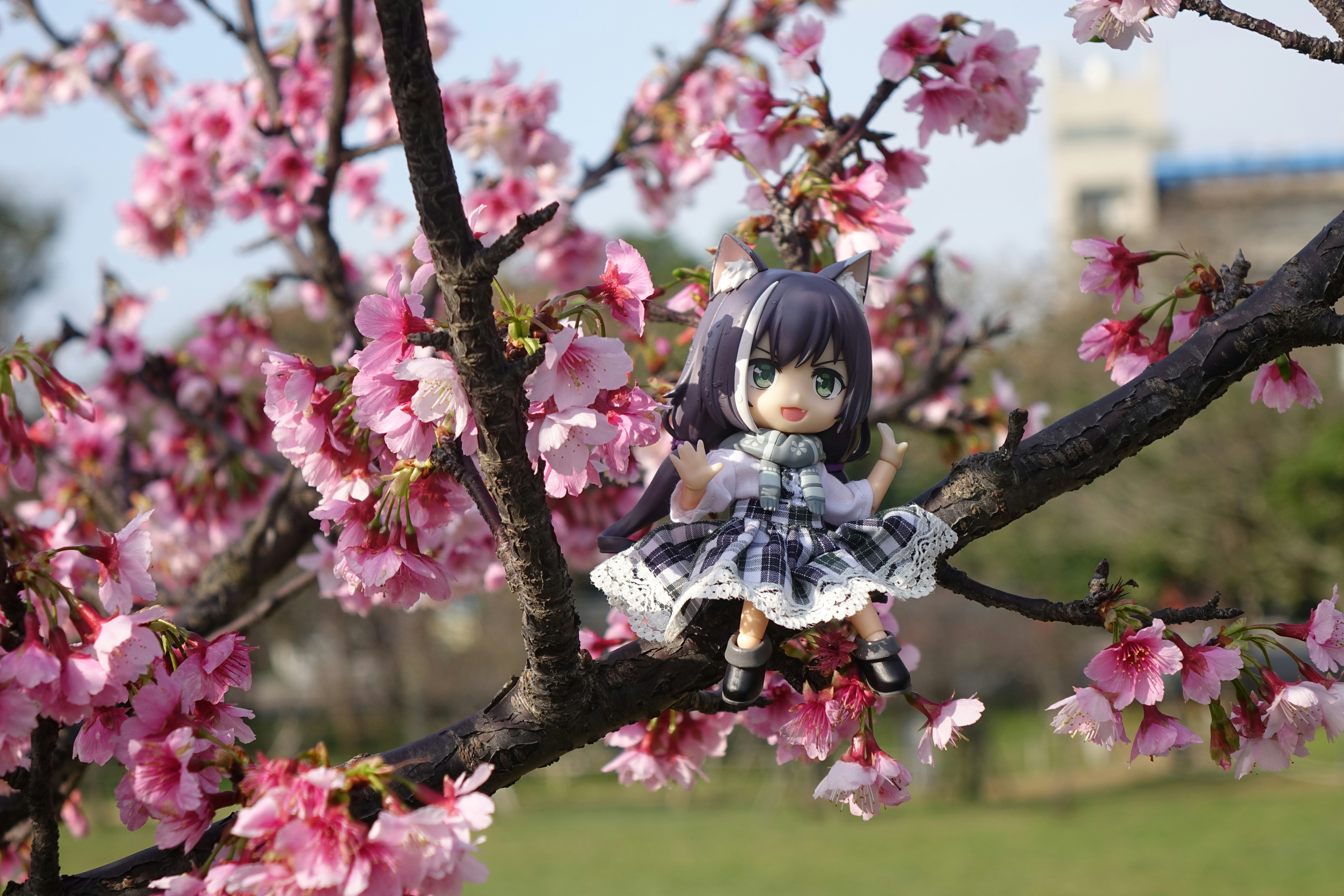 Cherry Blossom Toy Amid Branches: A Petite Doll’s Gaze