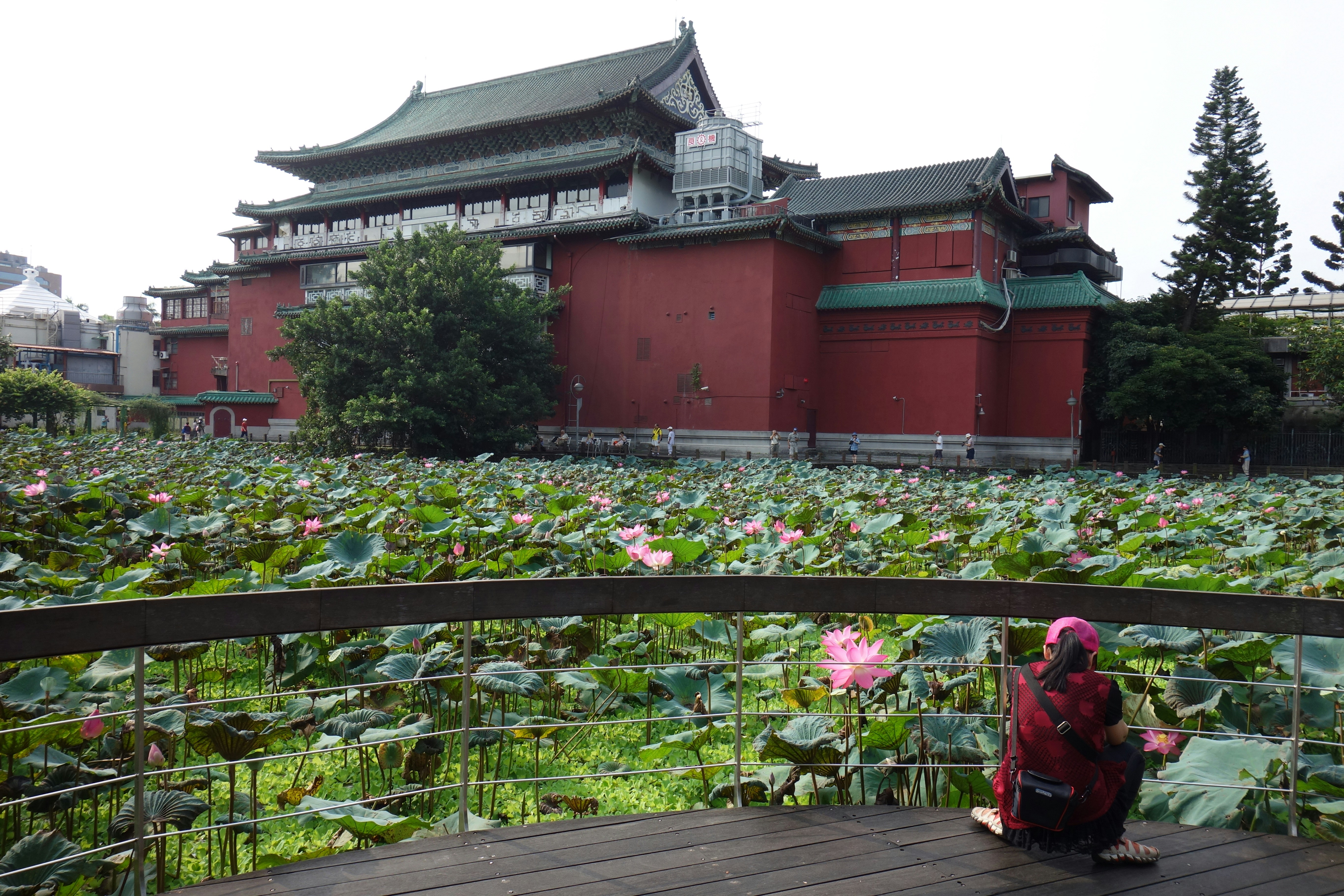 Lotus Garden Over the Forbidden Red Walls