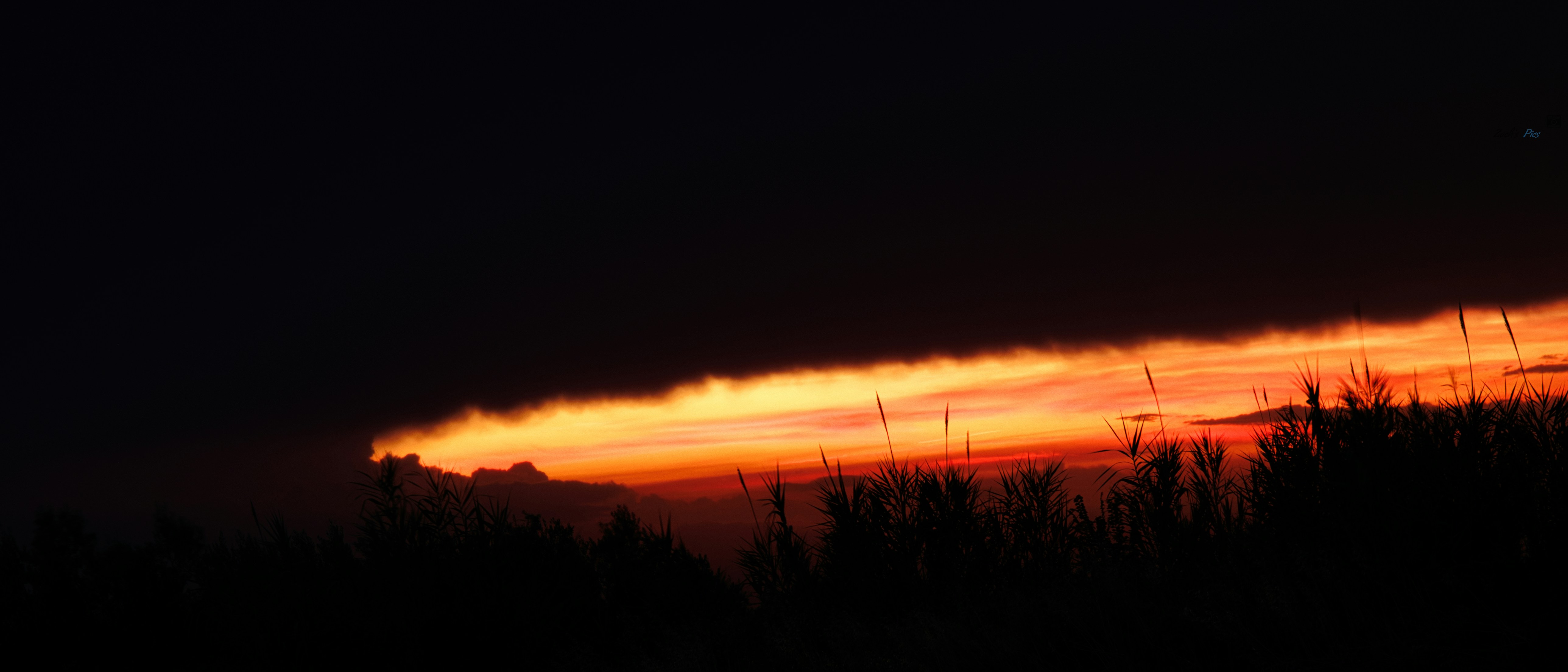 Fiery Horizon: Crest of Twilight Over Silent Grass
