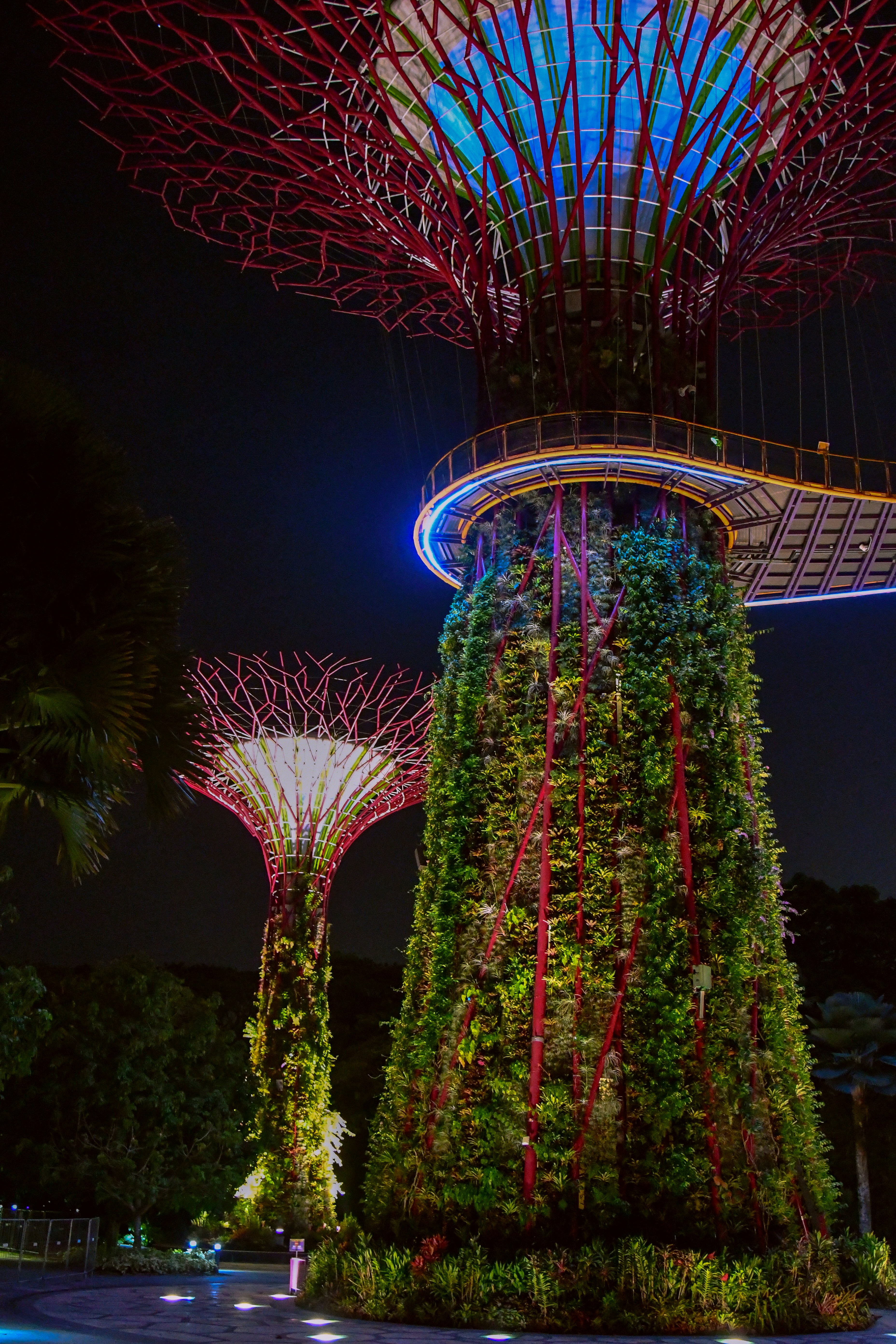 Illuminated Supertree at Night: Neon Canopy and verdant trunk under a starless sky