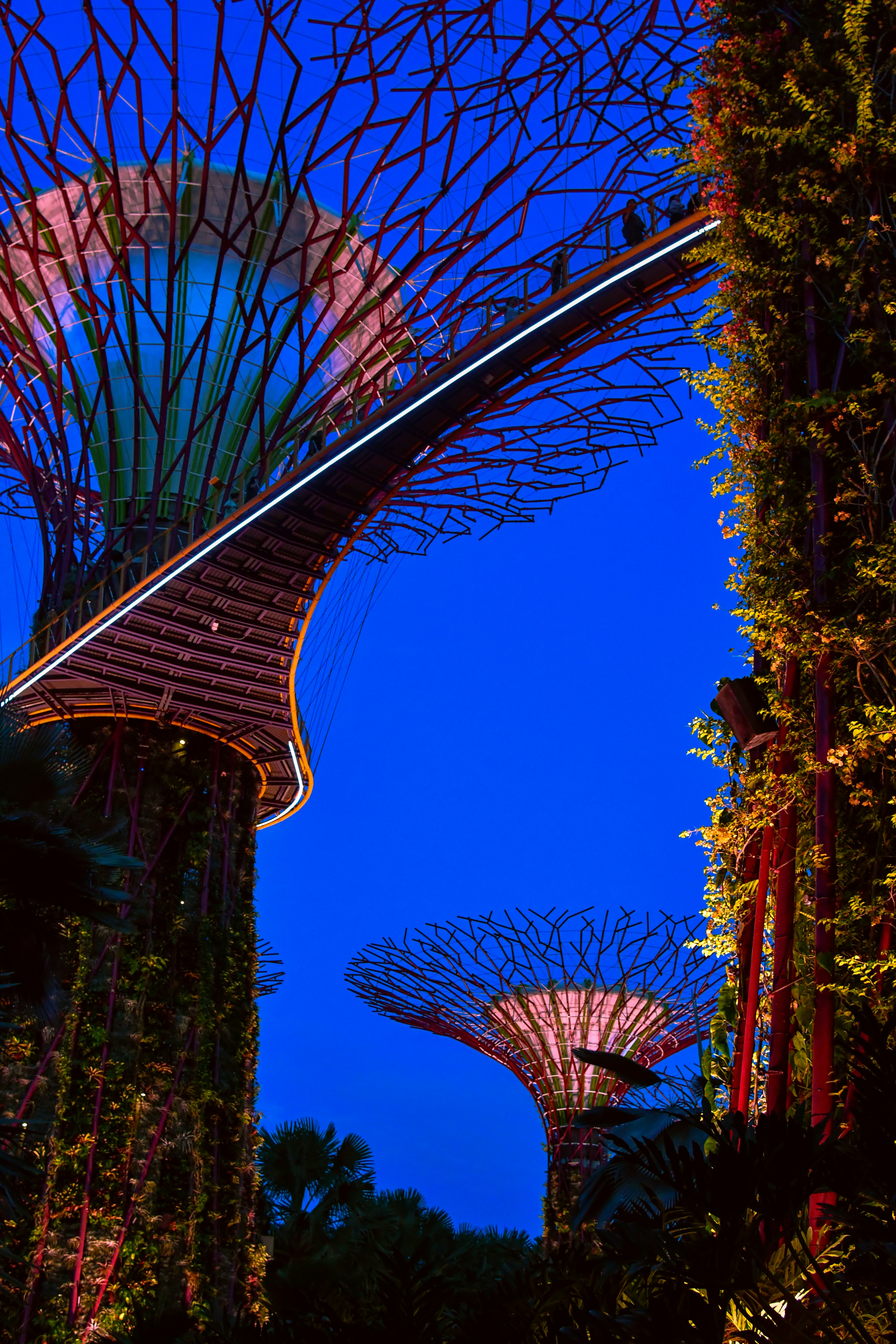 Vertical canopies and magnetic walkways: a nocturnal ascent under blue skies