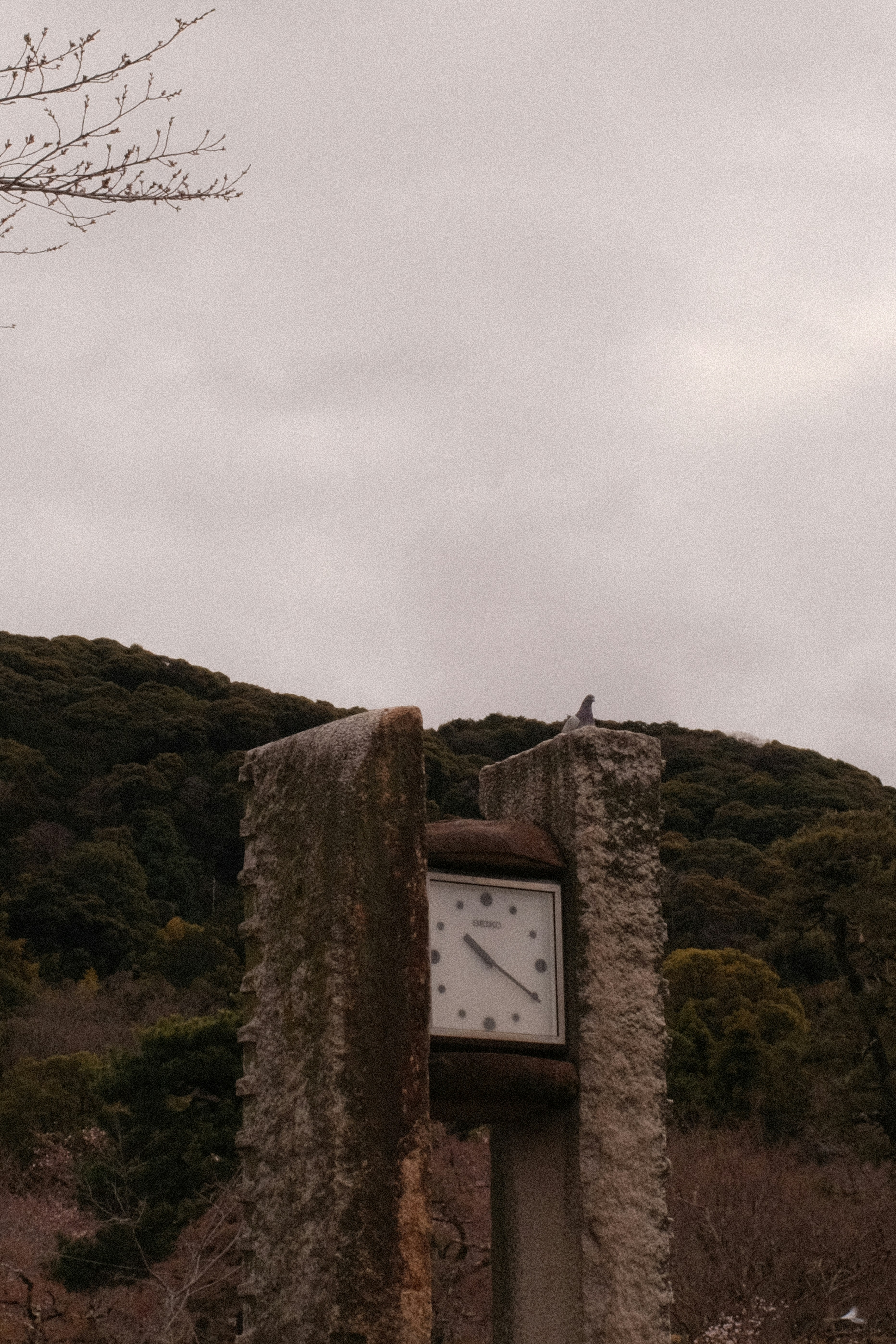 Ancient Gatepost Clock Standing Against a Hillside