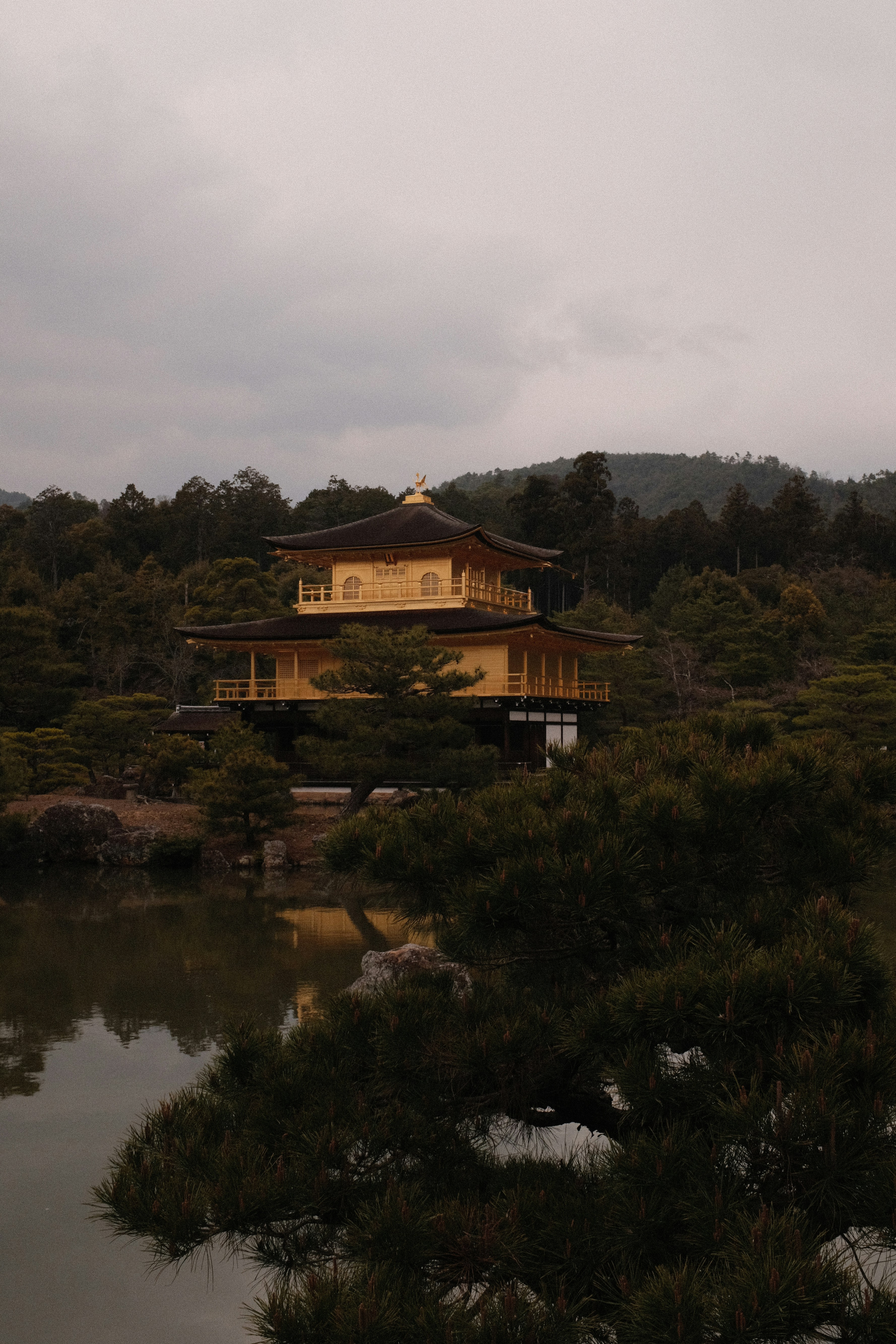 Golden Pavilion Amid Quiet Pines