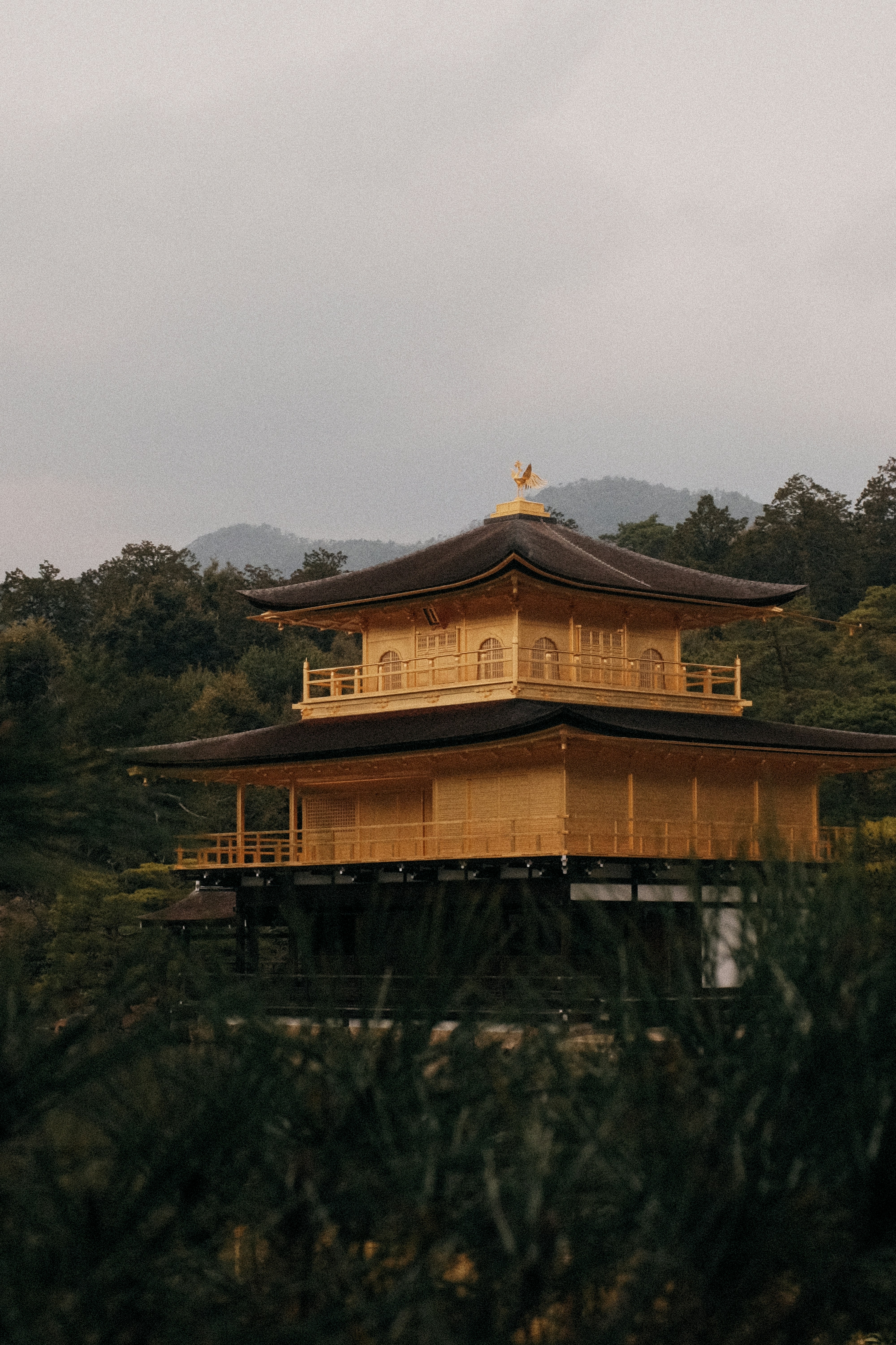 Gold Pavilion Rising Above Dark Pines