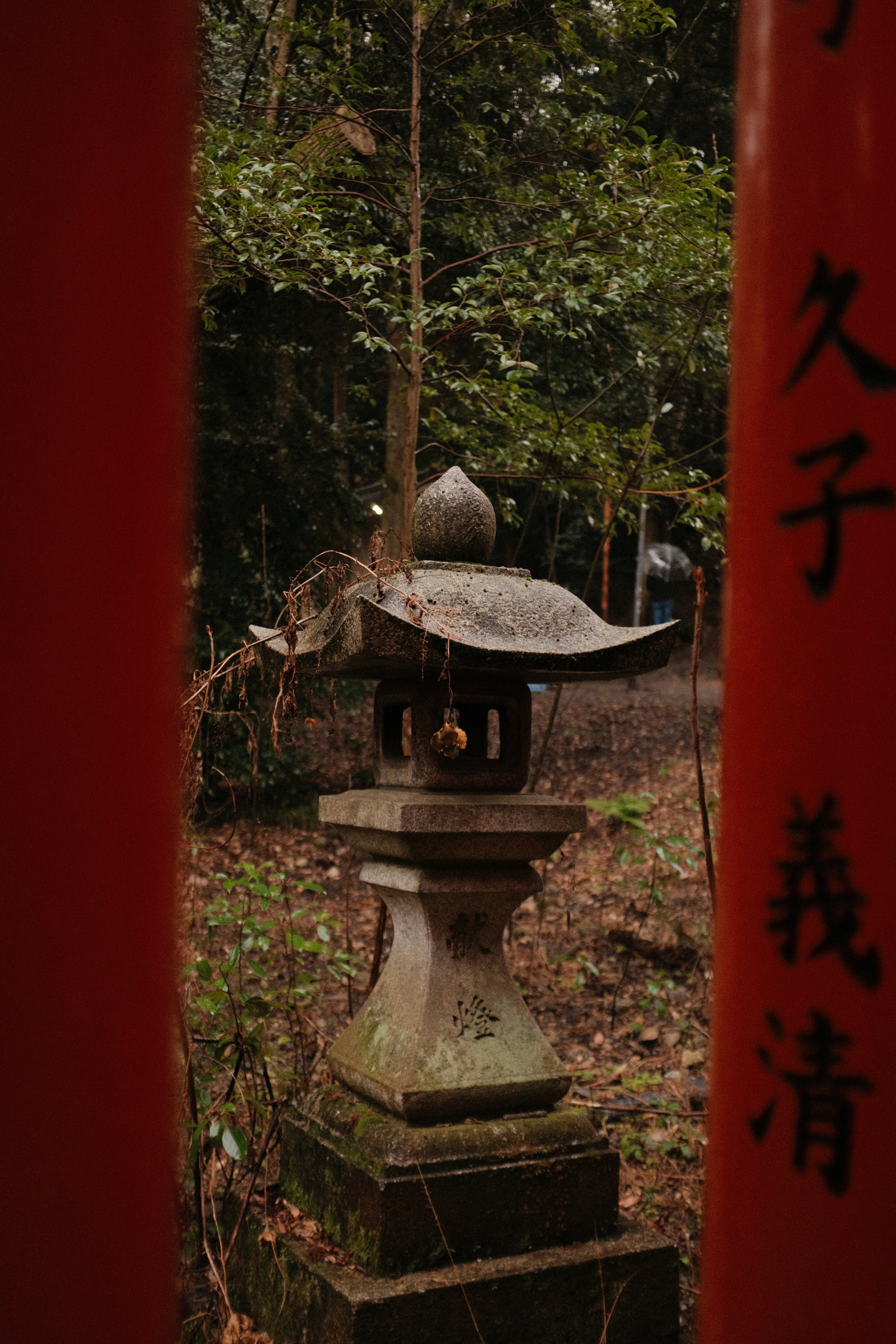 Ancient lantern framed by red torii: quiet temple grove