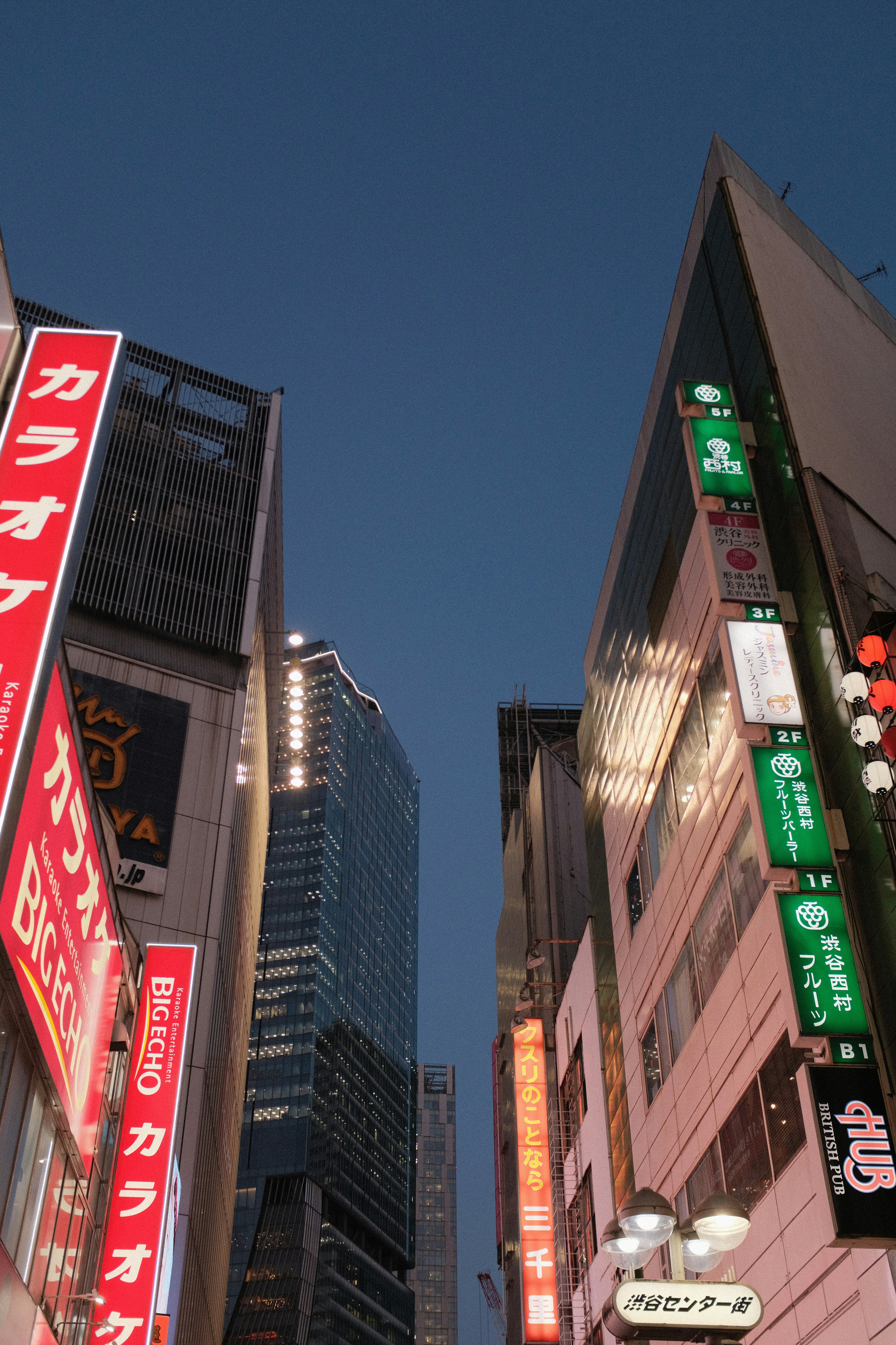 Neon Canyon: A Vertical Spell of Tokyo Signs