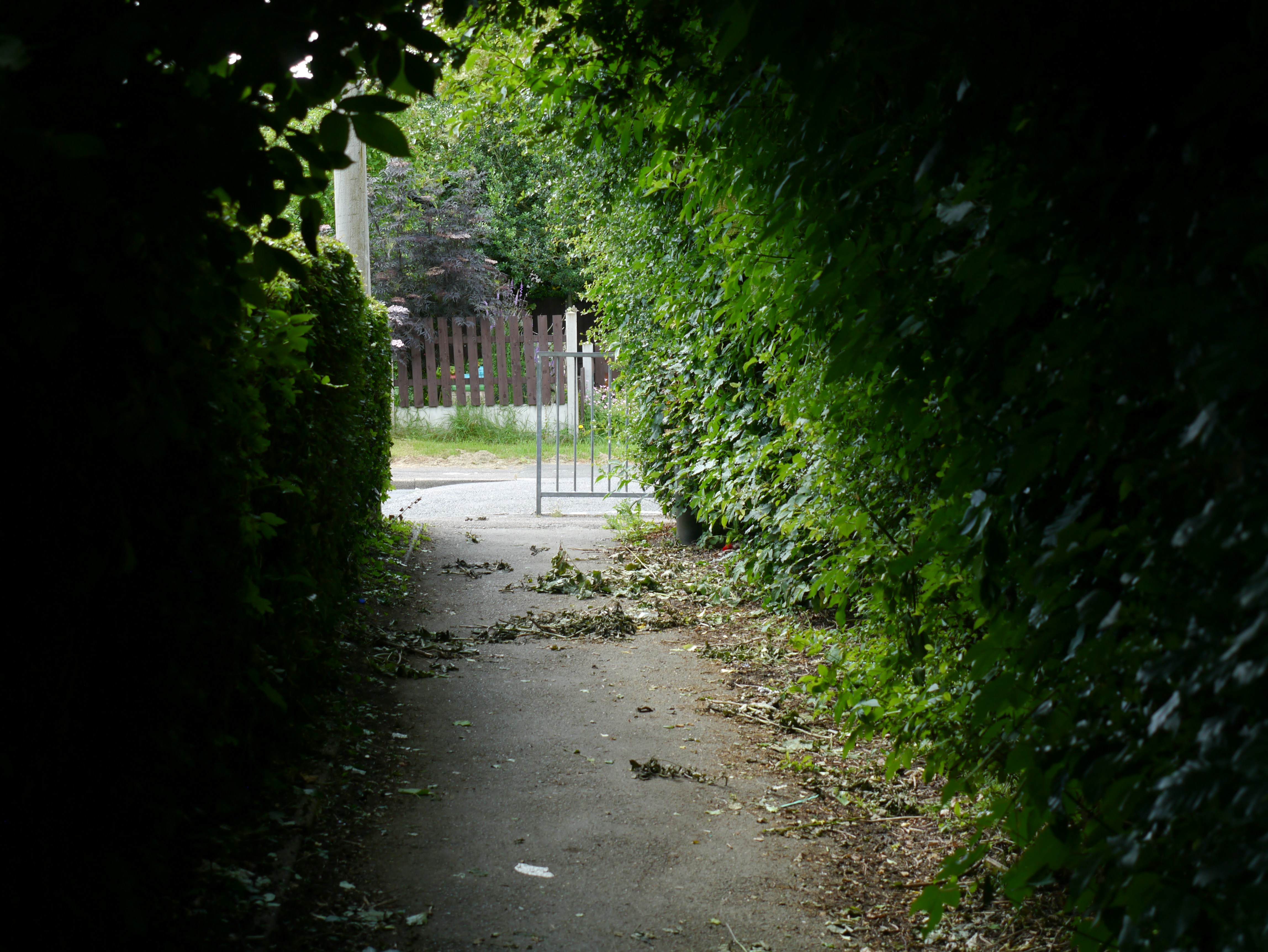 Through the Gate of Green: Ventured Path to Light