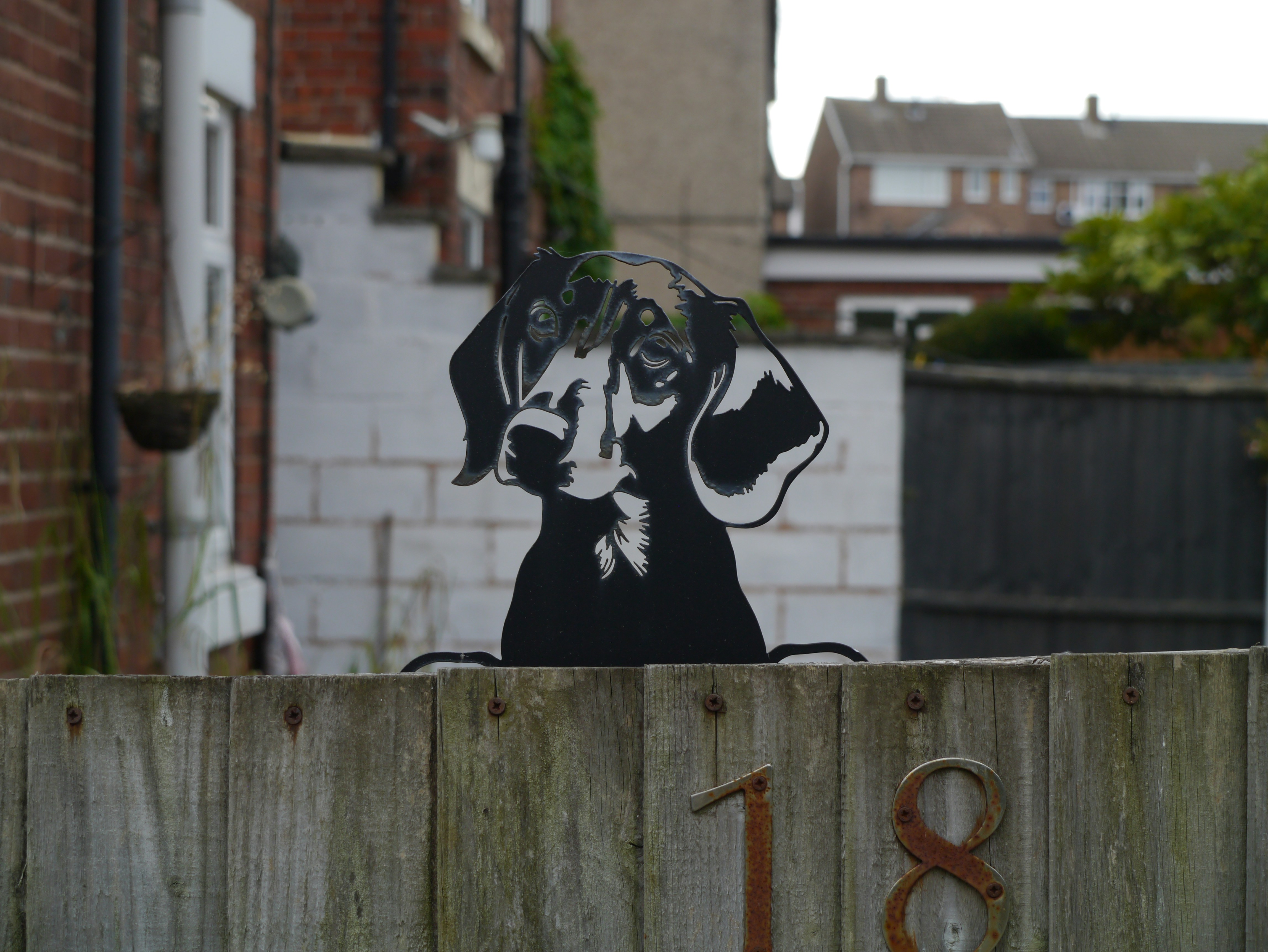 Dog Cutout in an Urban Backyard: A Silent Welcome Mat
