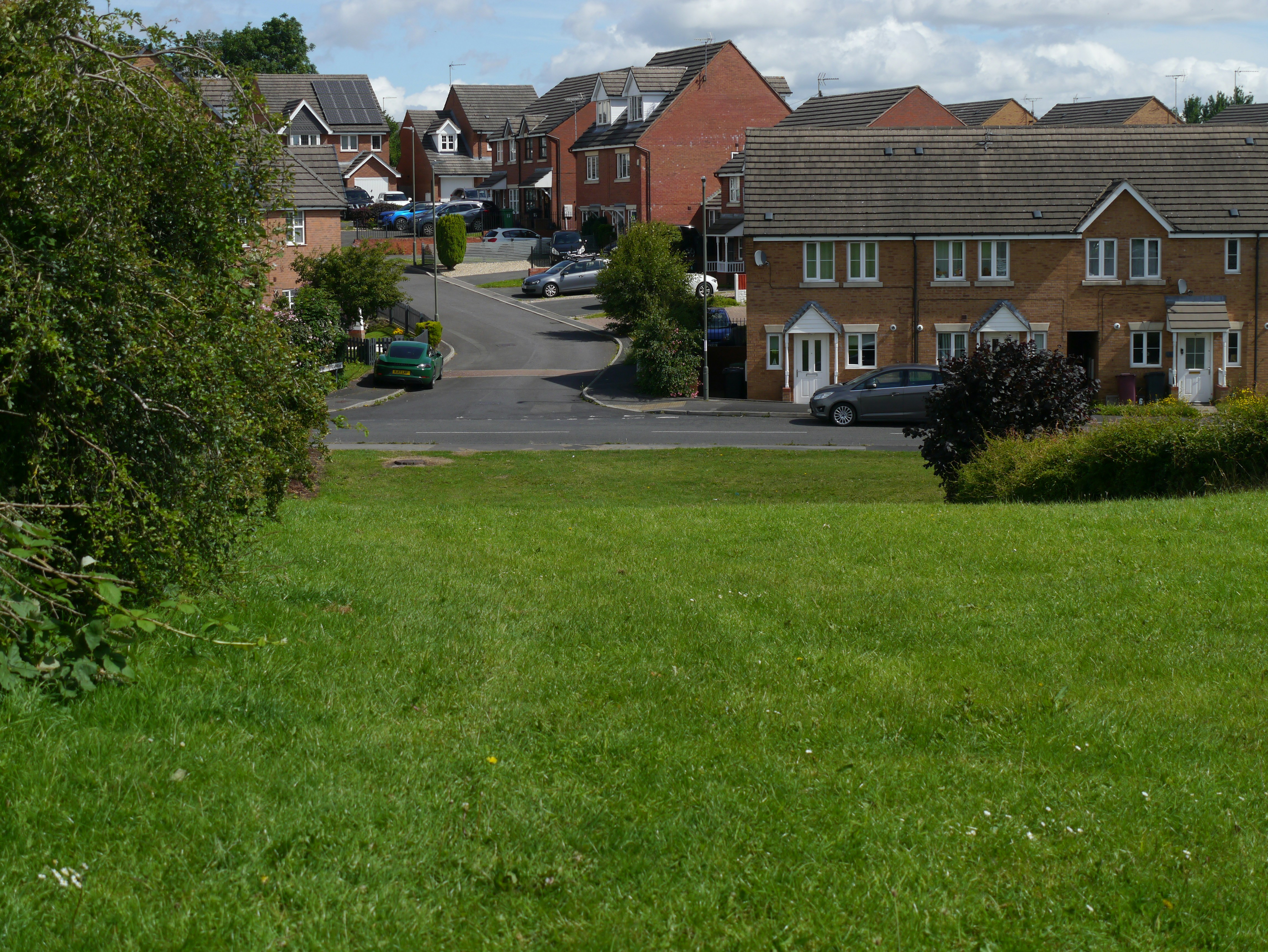 The Quiet Street Emerges from the Green Crest