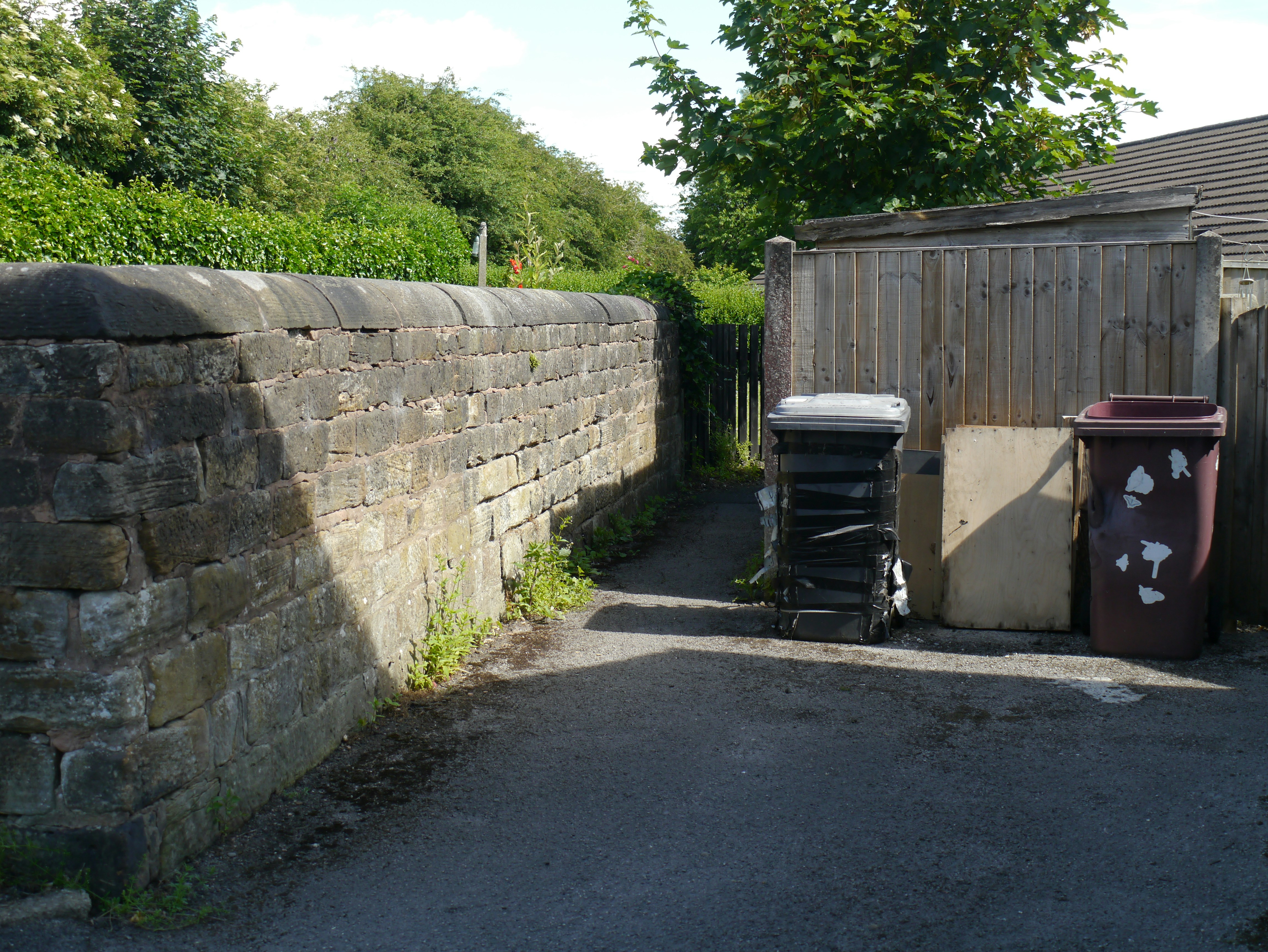 Alley of Bins: Quiet Path Between Wall and Shed