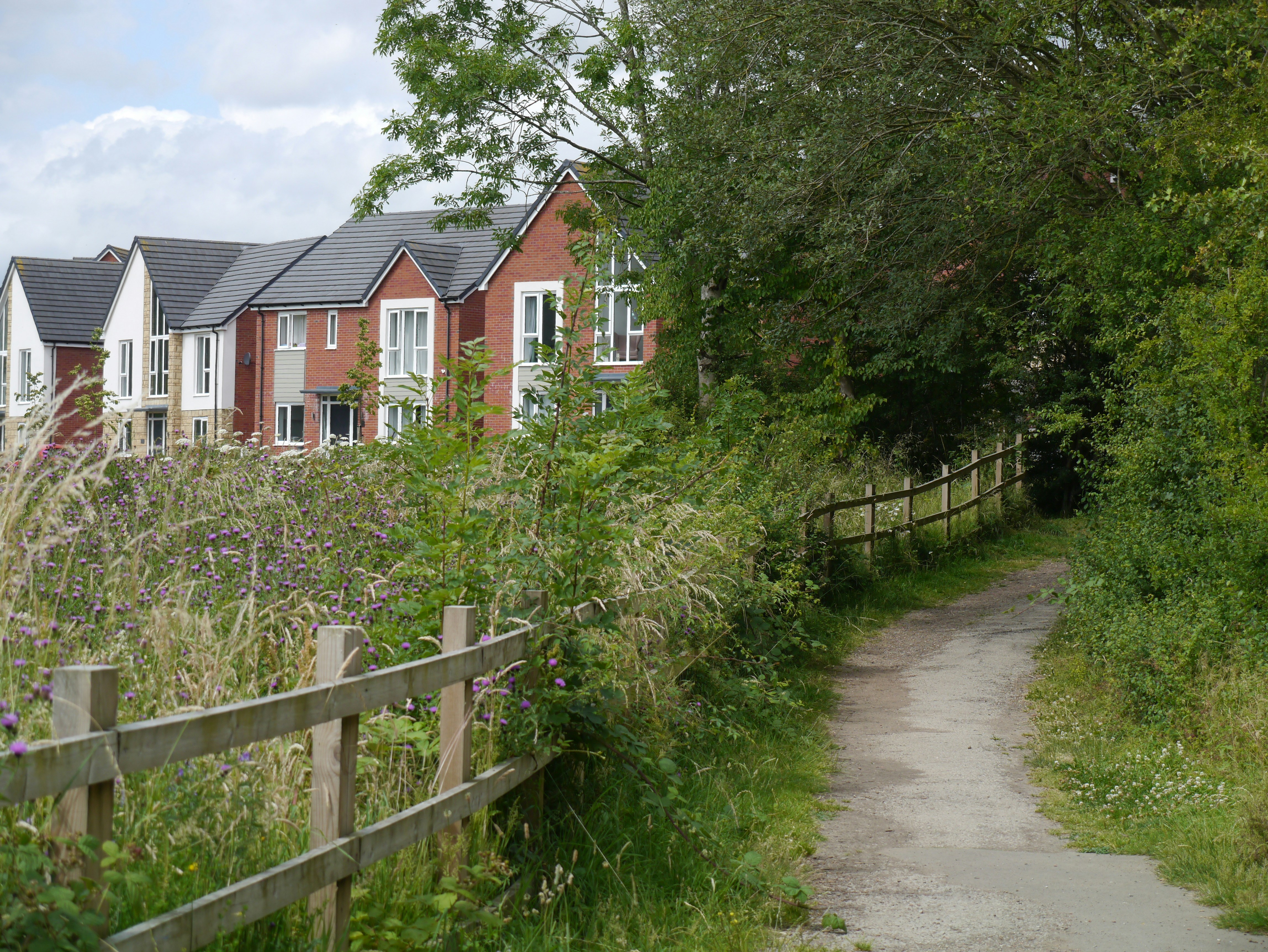 Path to the Row of Red-Brick Townhouses on a Narrow Green Corridor