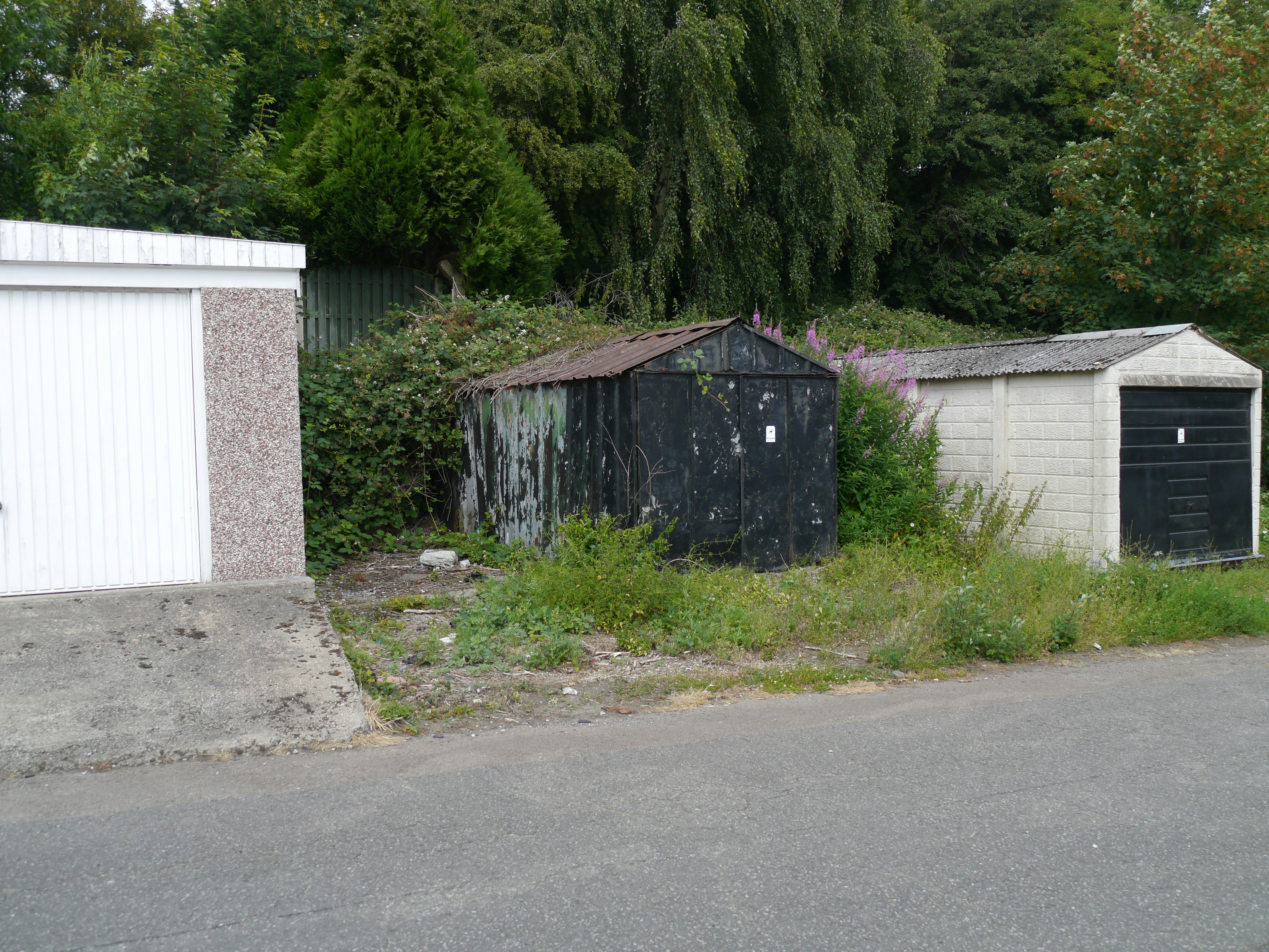 Weathered Sheds and Hidden Greenery by the Roadside