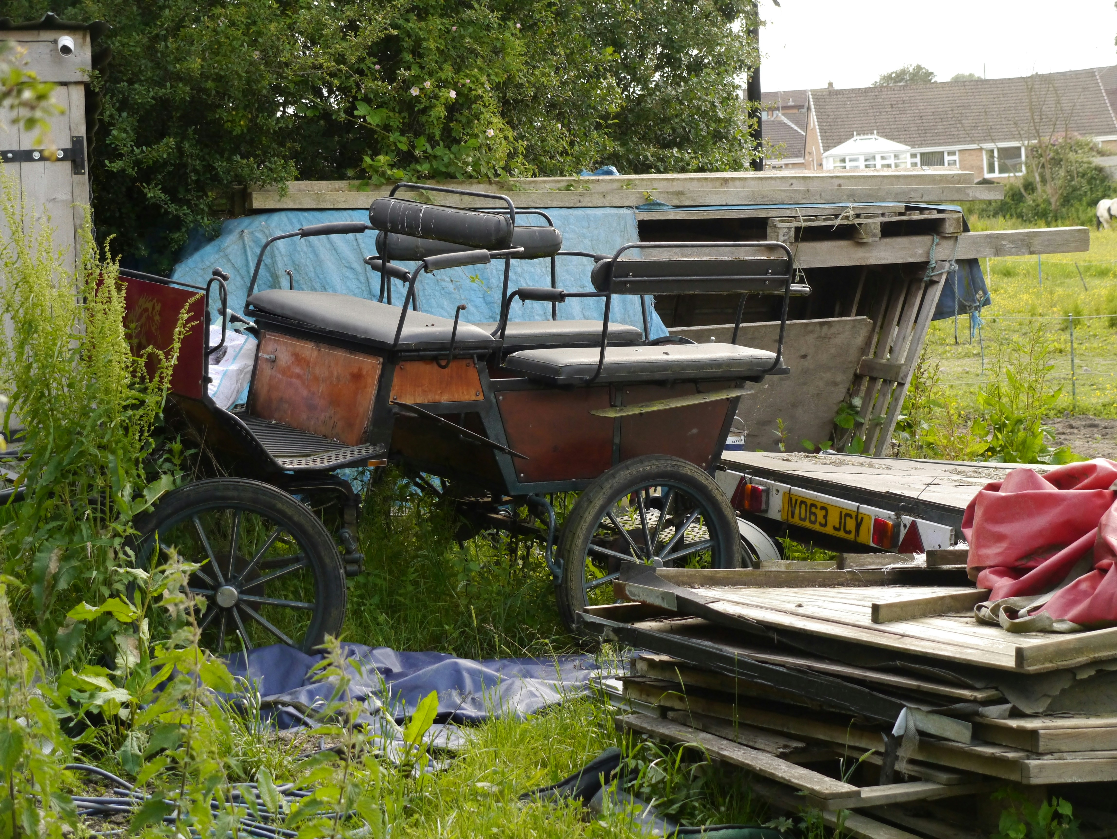 Overgrown Display: A Rusted Cart and Timber Stack in a Quiet Yard