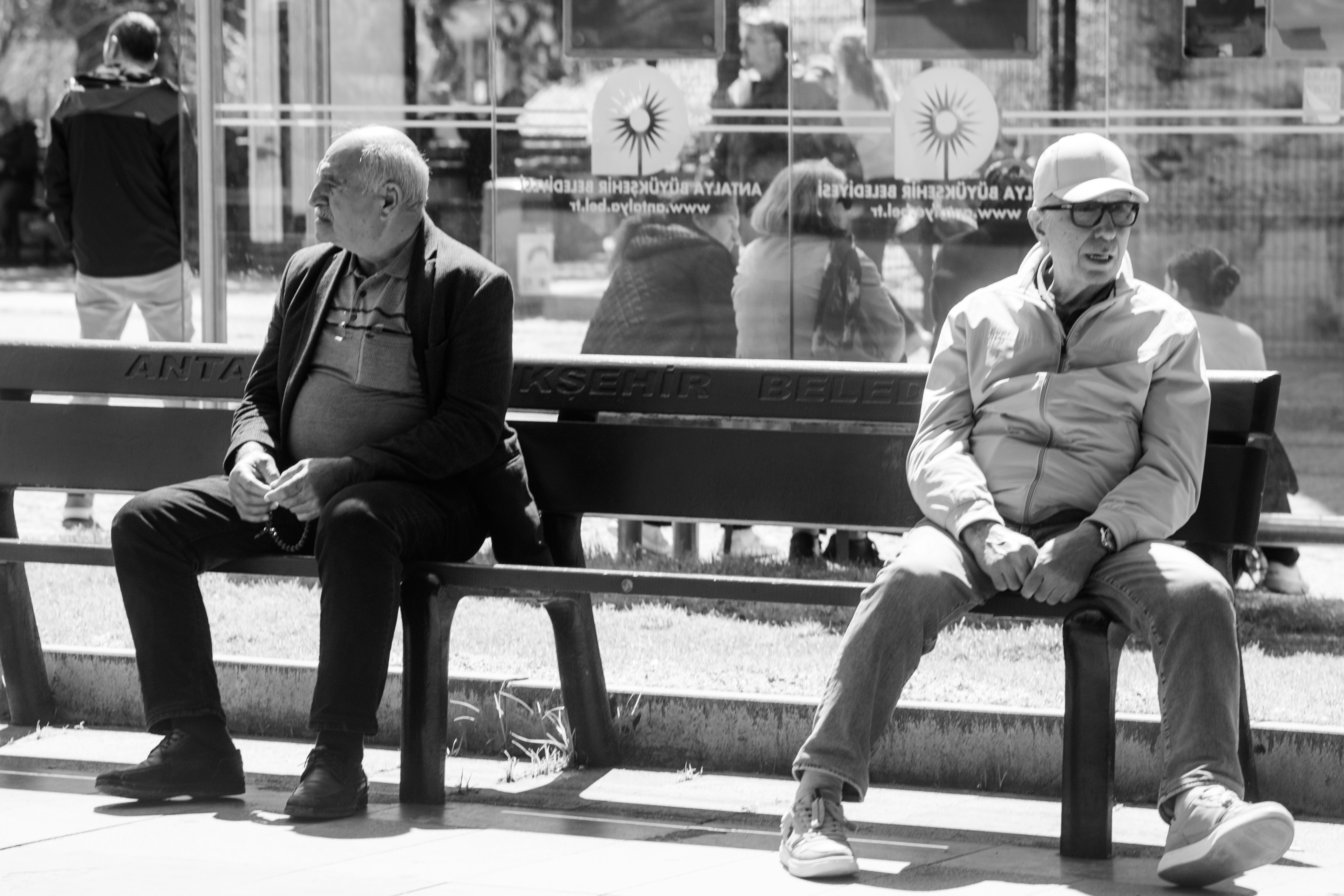 Quiet Contrasts on a Park Bench