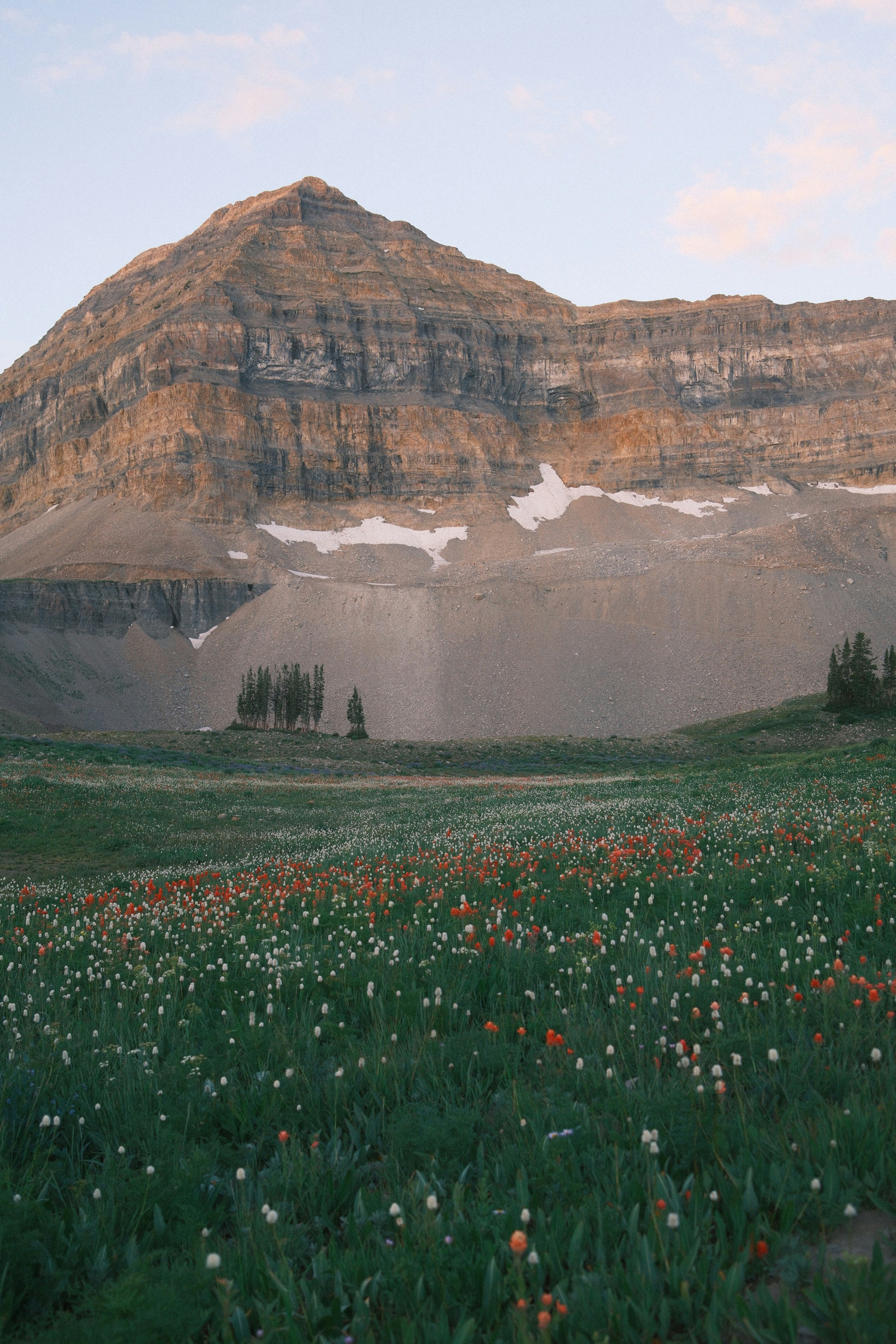 Emerald Meadow under a Crimson Ridge