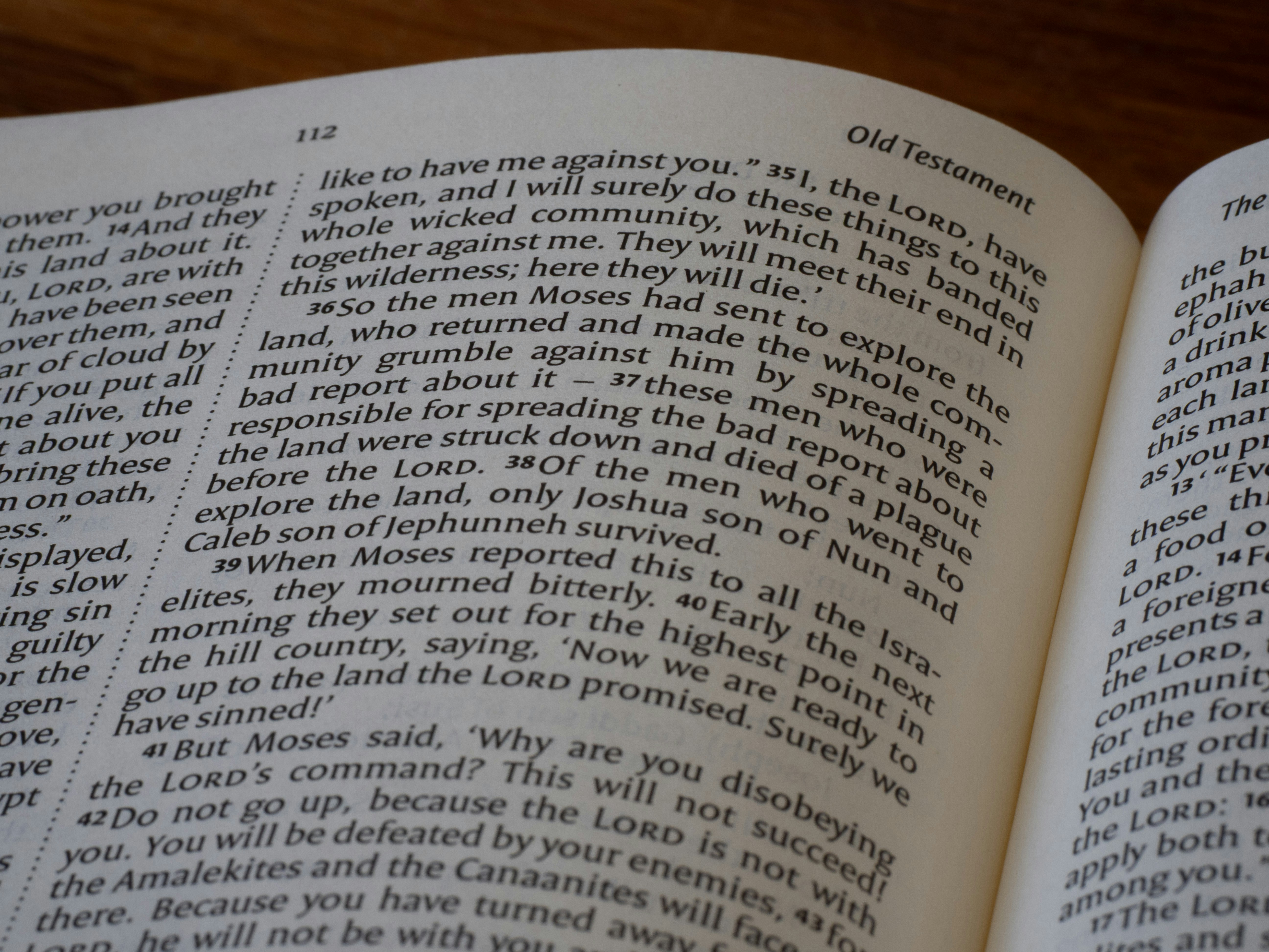 Close-up of an open book with two facing pages, printed text in a serif font. The image emphasizes the curved page edges and soft shadows from ambient library lighting; a quiet moment captured in a reading nook. (logo/branding not present)