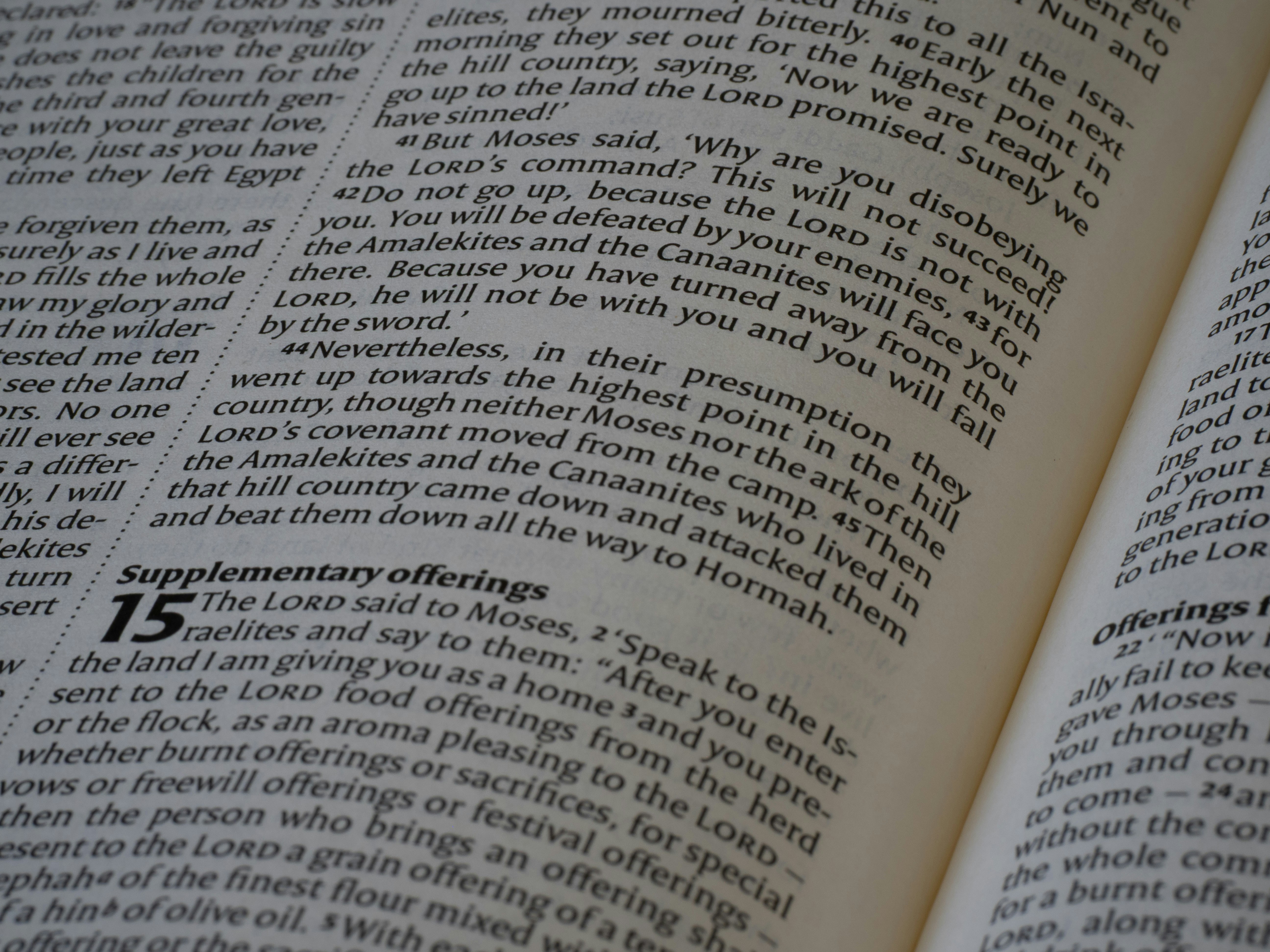Close-up of a printed Bible page with a highlighted verse, emphasizing the texture of the paper and the serifs of the typography. The image conveys a moment of study or reflection.