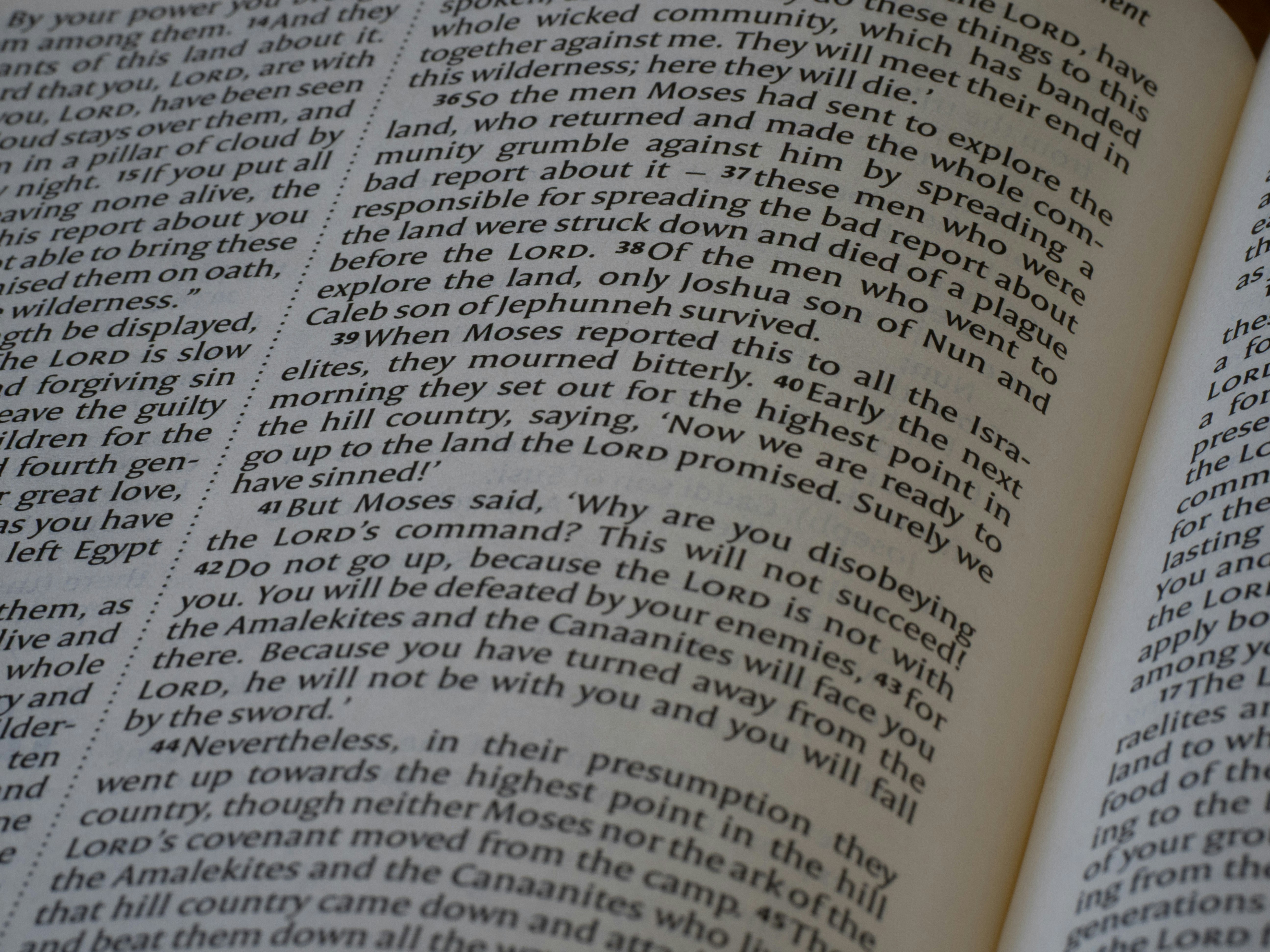 Close-up of an open Bible with dense scripture; pages show small, tightly set type and delicate folds. This is a photographed print or illustration of a sacred text in a book format.
