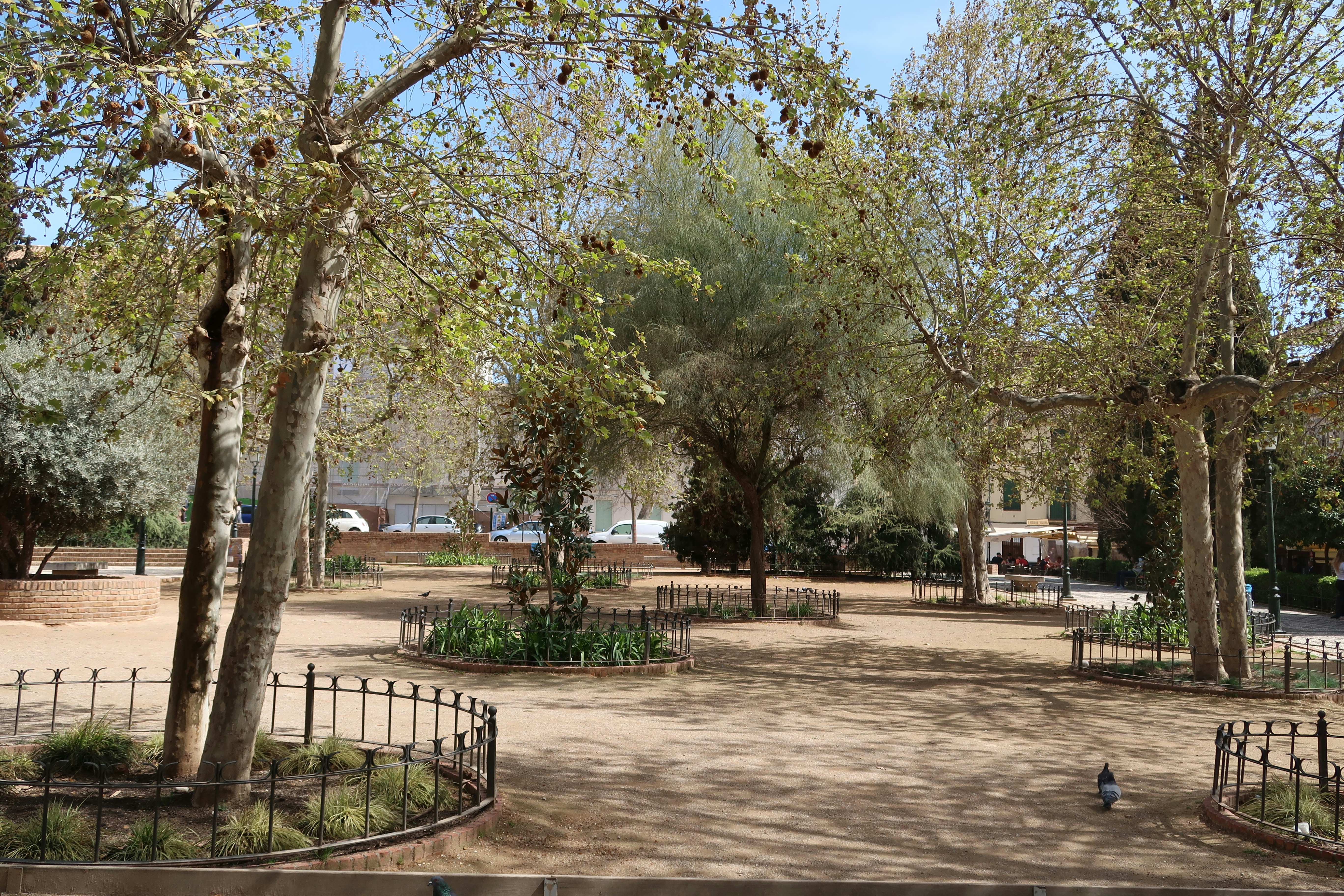 Shaded plaza of a sunlit urban park