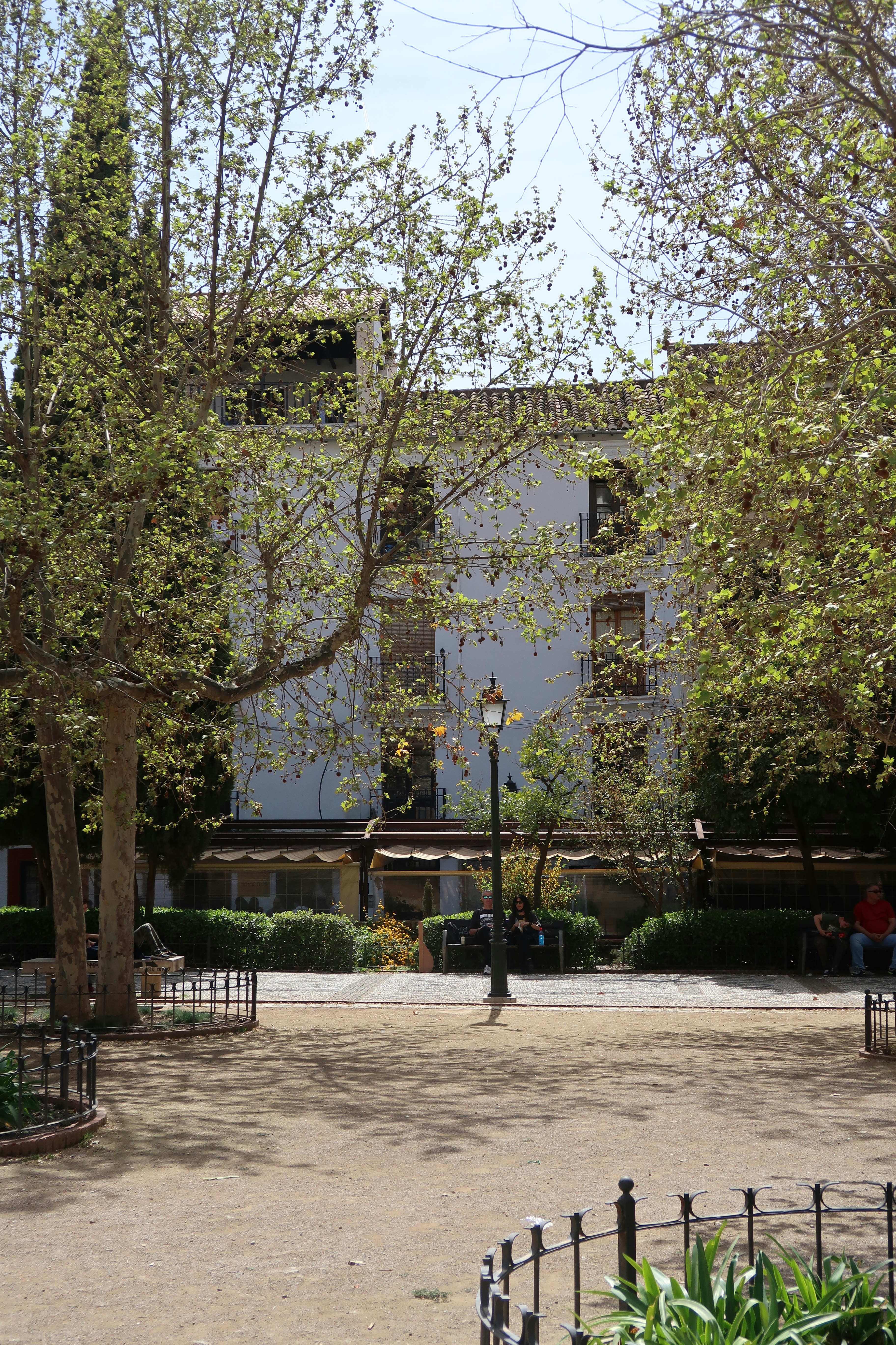 Quiet Plaza Under Leafy Canopy