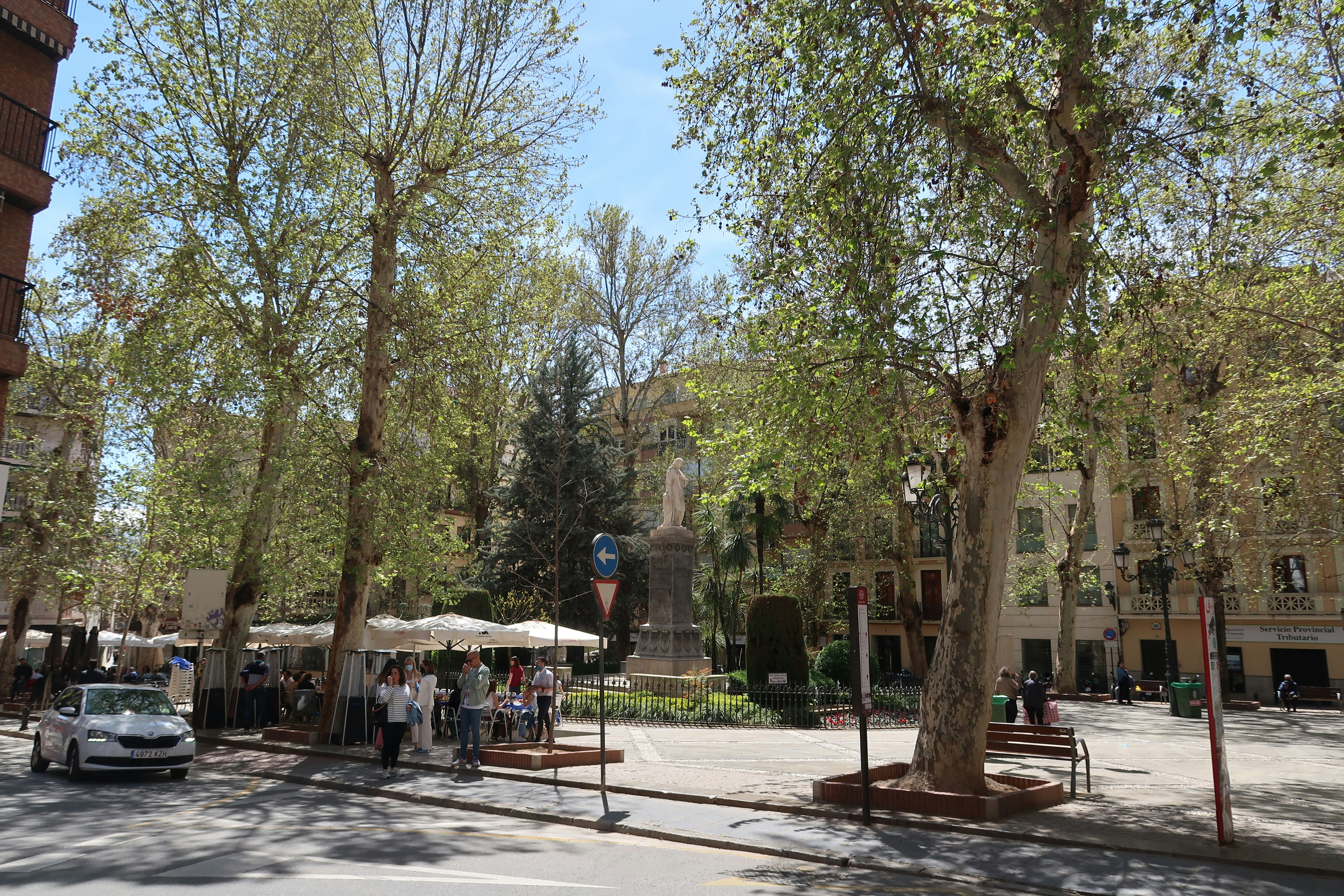Sunlit Plaza with Treecanopy and Outdoor Café