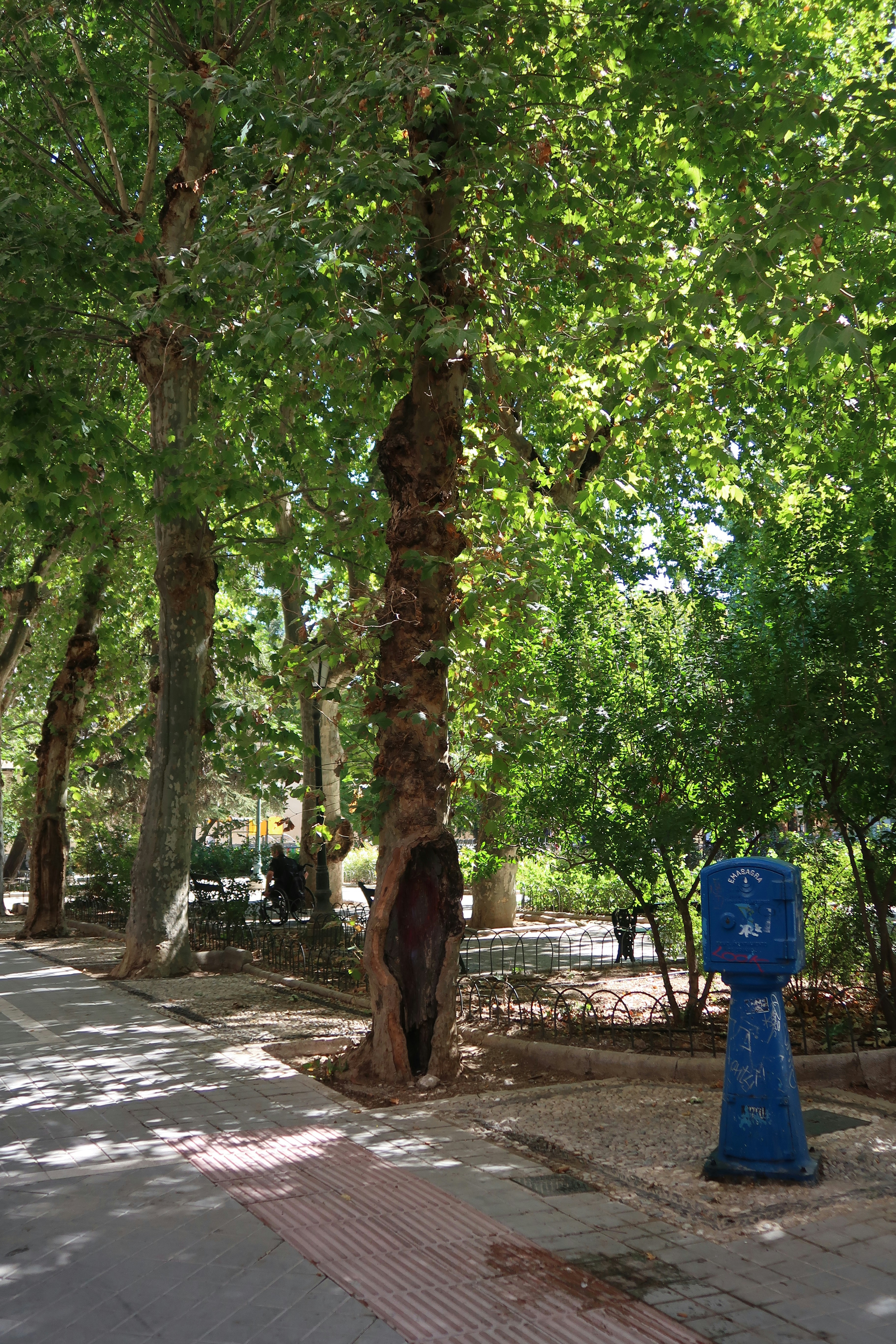 Shade and Sidewalk: A City Park Moment by the Blue Post