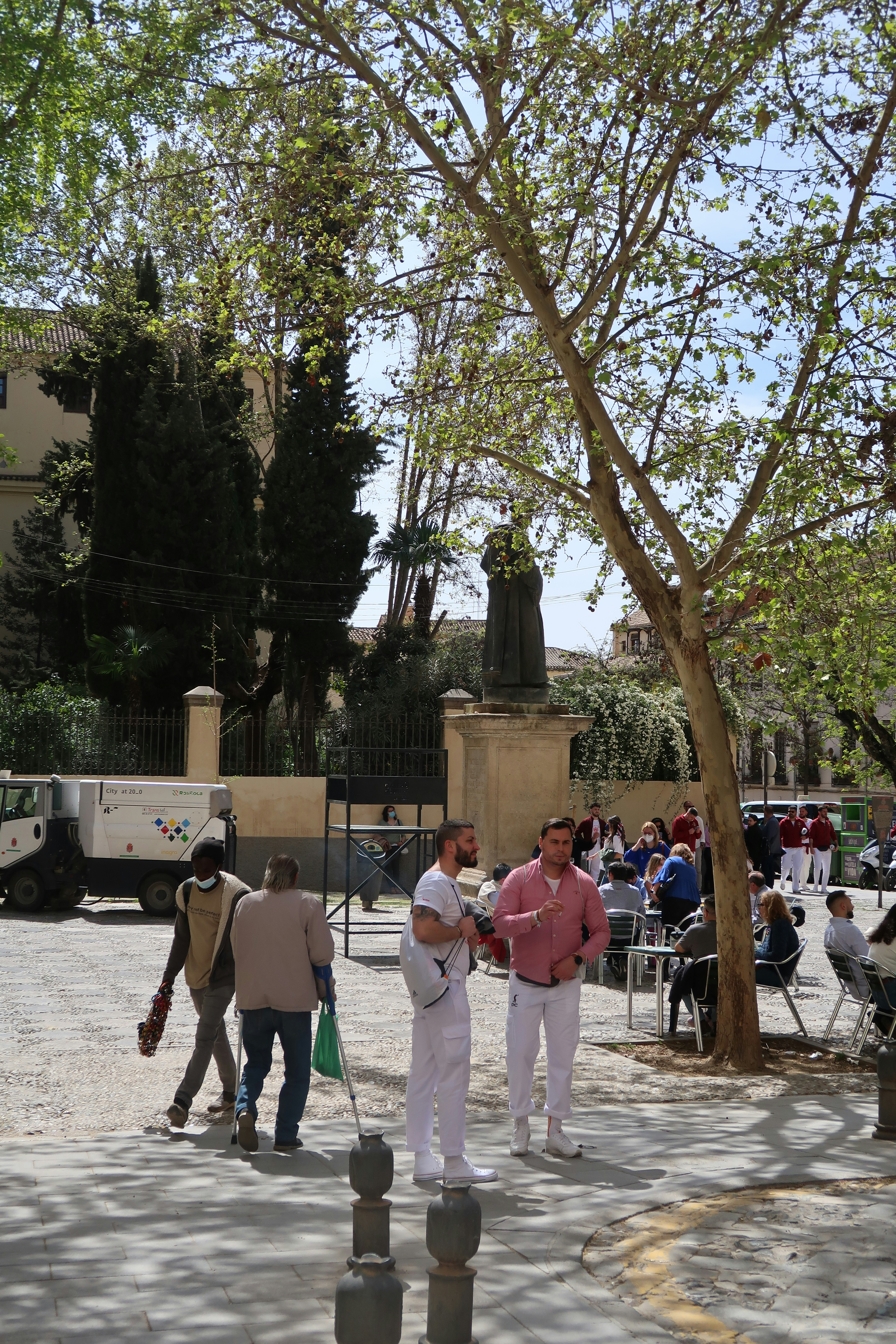 Social Circle Under Shady Trees in a Sunlit Square