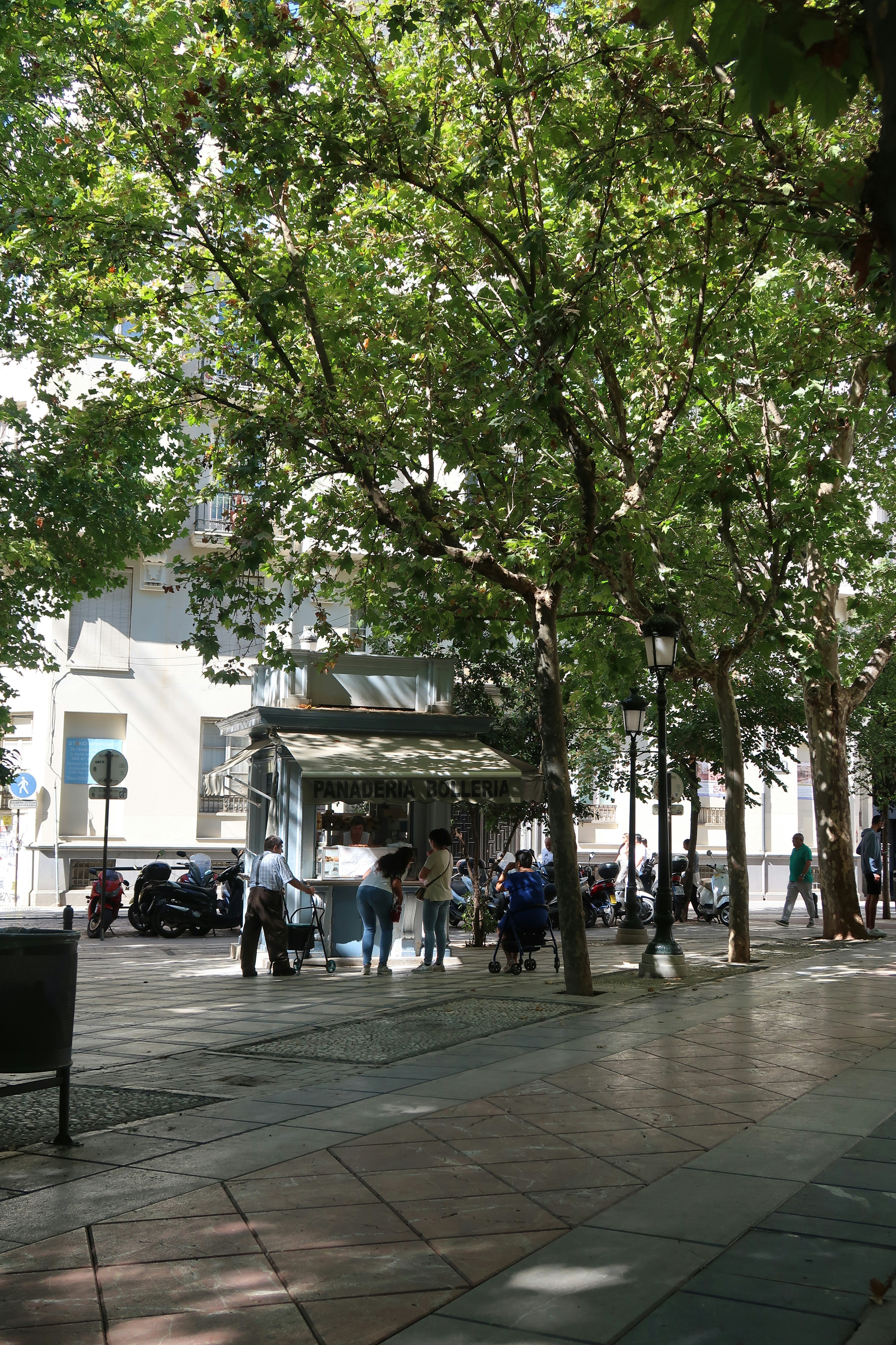 Shaded Square Café Stand Beneath Urban Canopy