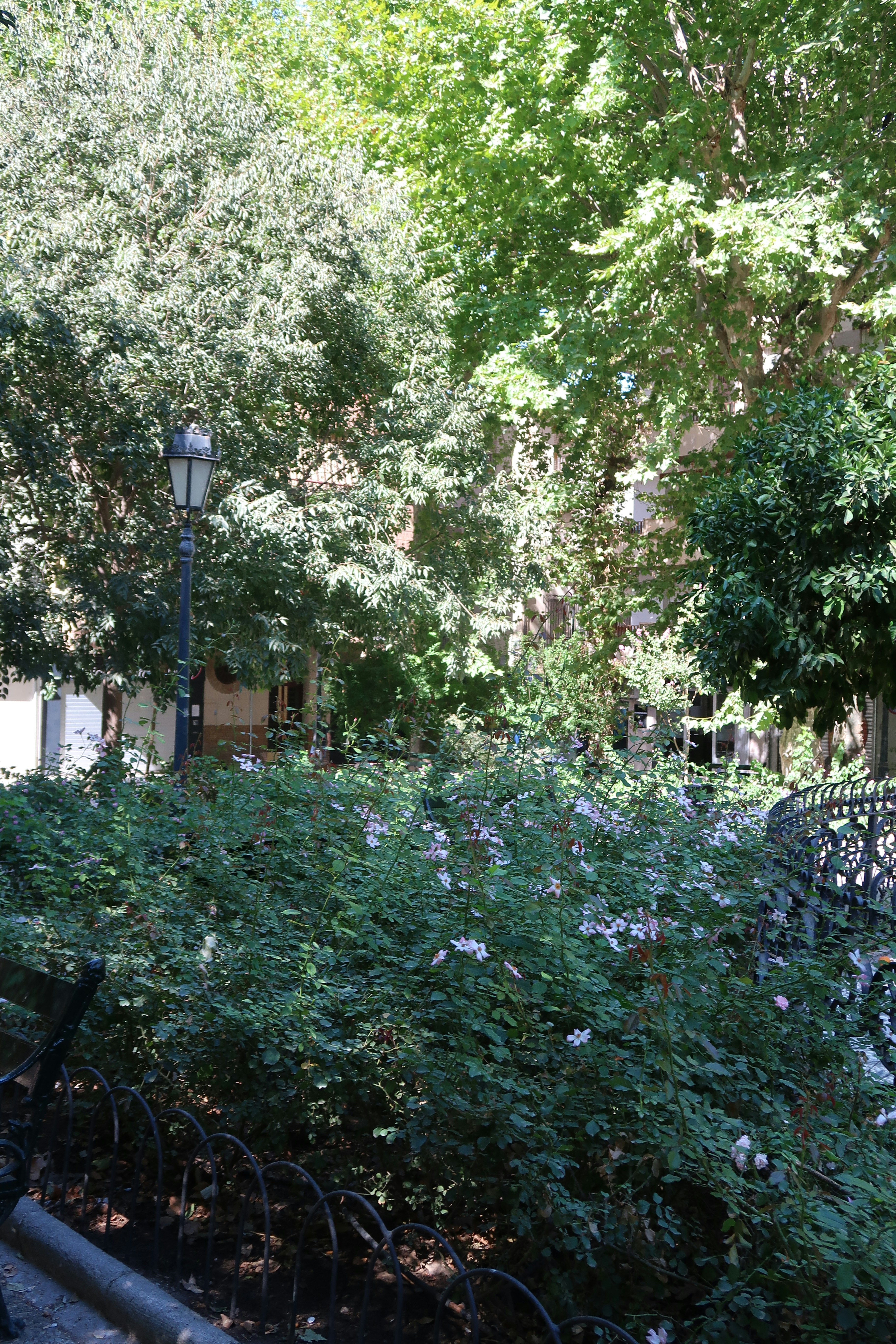 Sunlit Garden Veranda Amid Dense Foliage