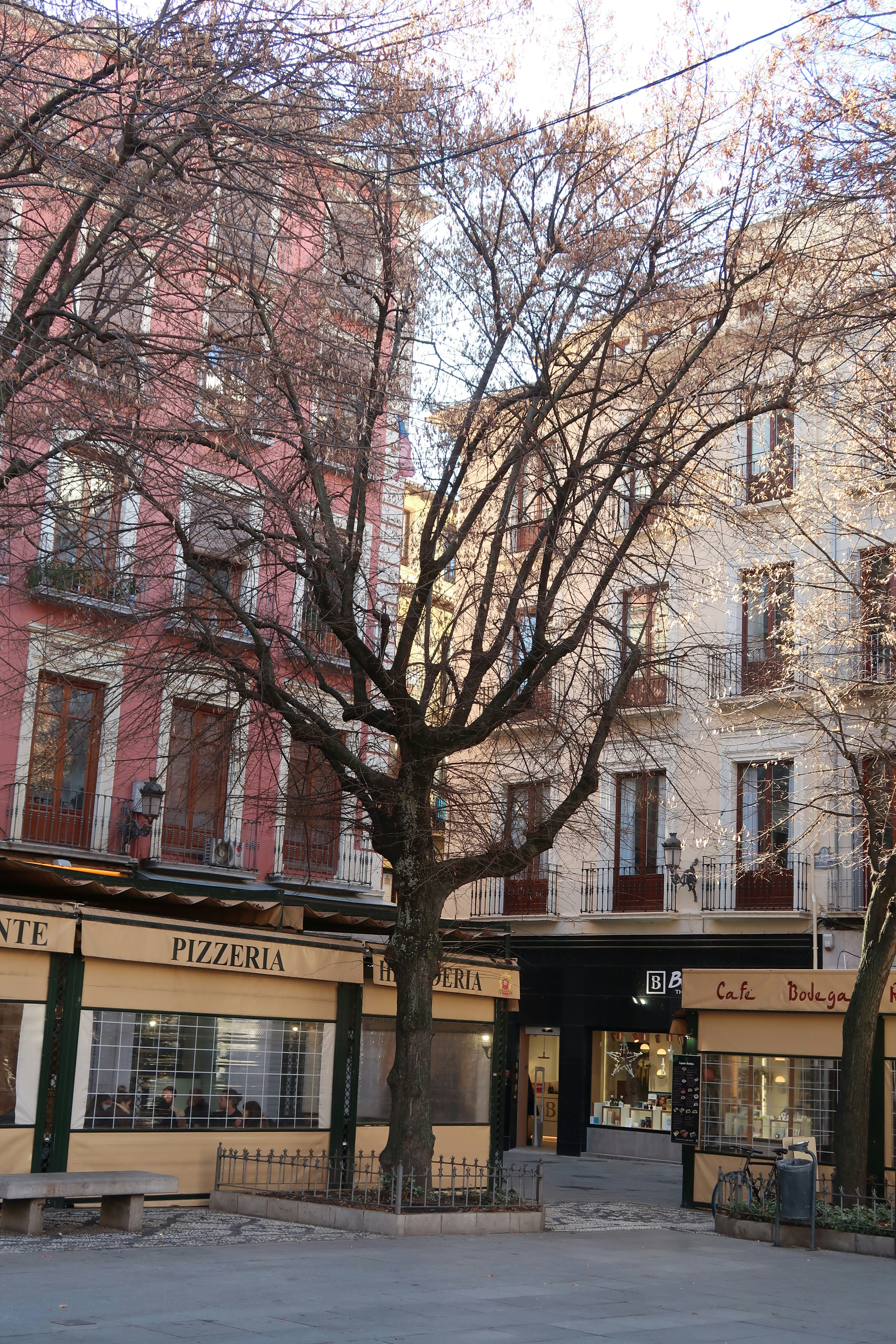 Tree-Framed Streetfront: Cafe Signage and Pastel Facades