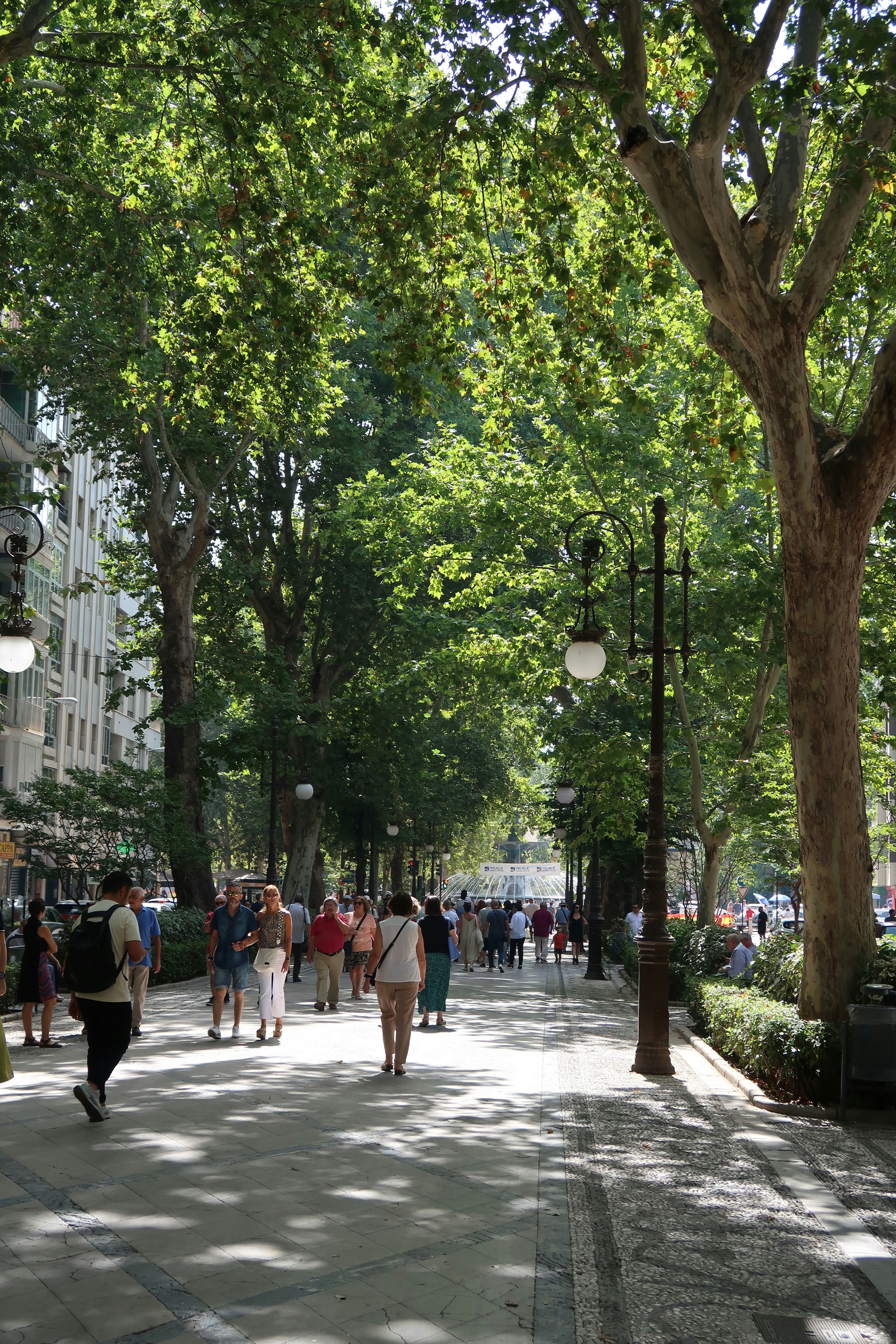 A tree-lined city promenade teems with people in soft afternoon light