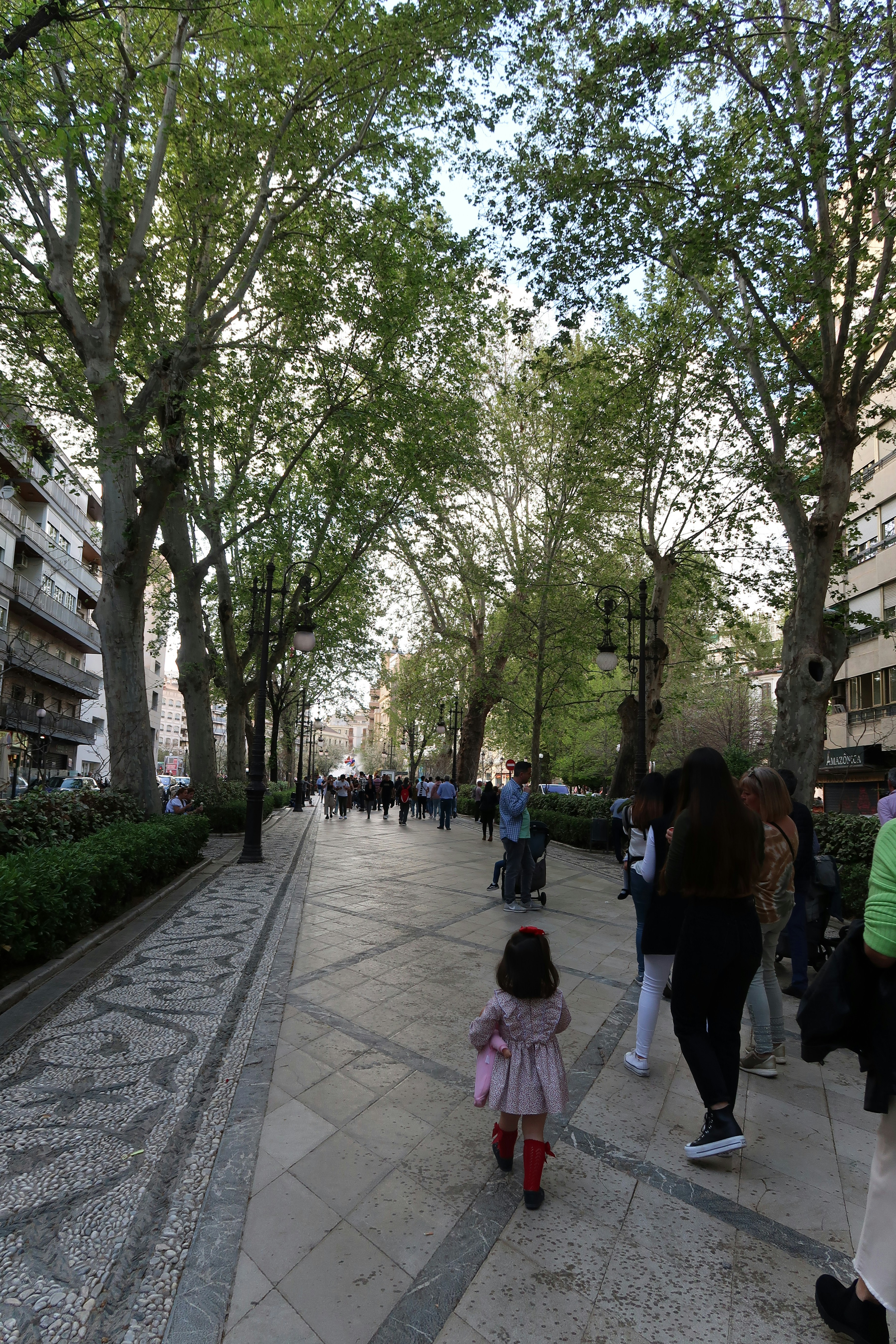 Promenade Through a Shaded City Walk