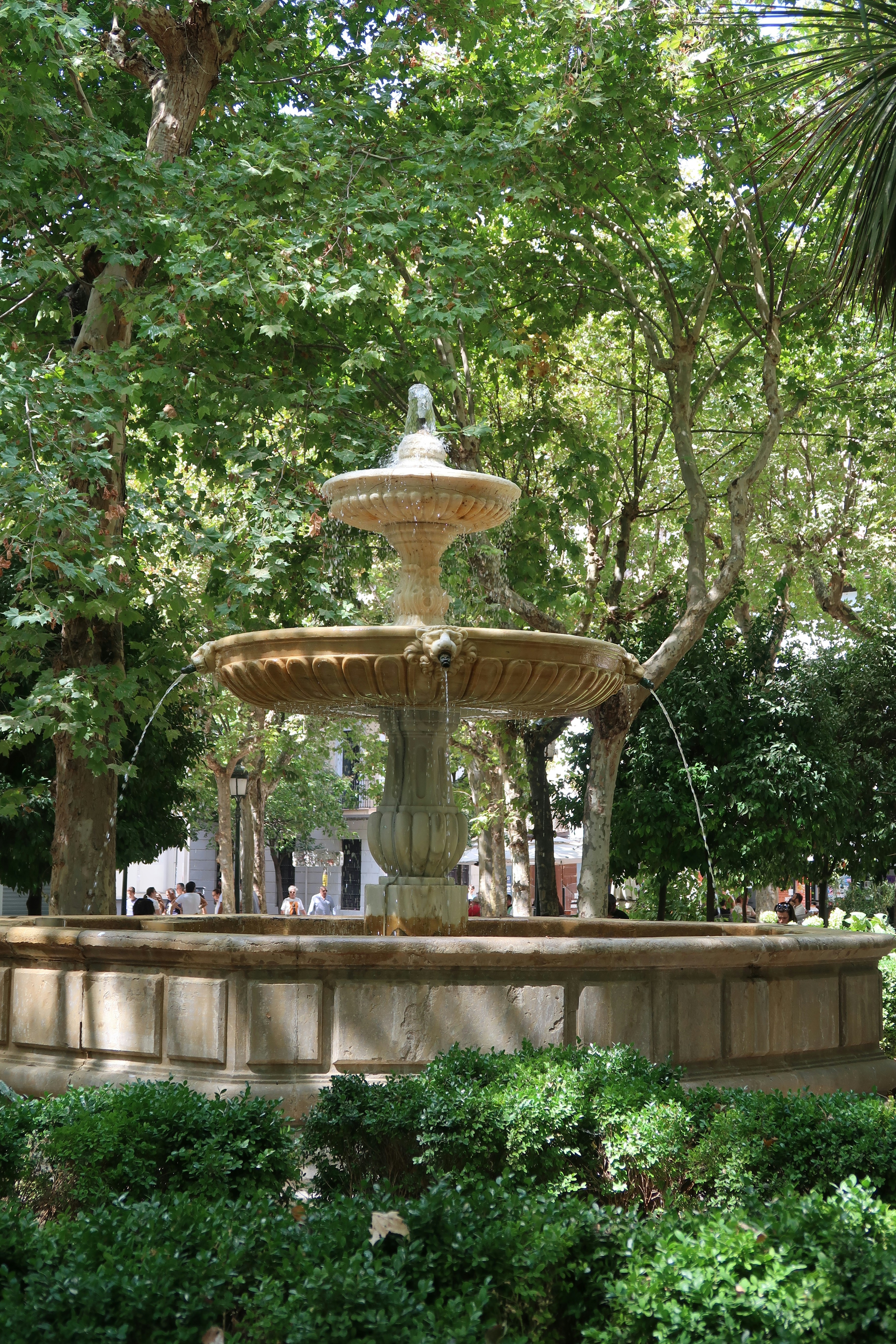 Central fountain under leafy canopy in sunlit park