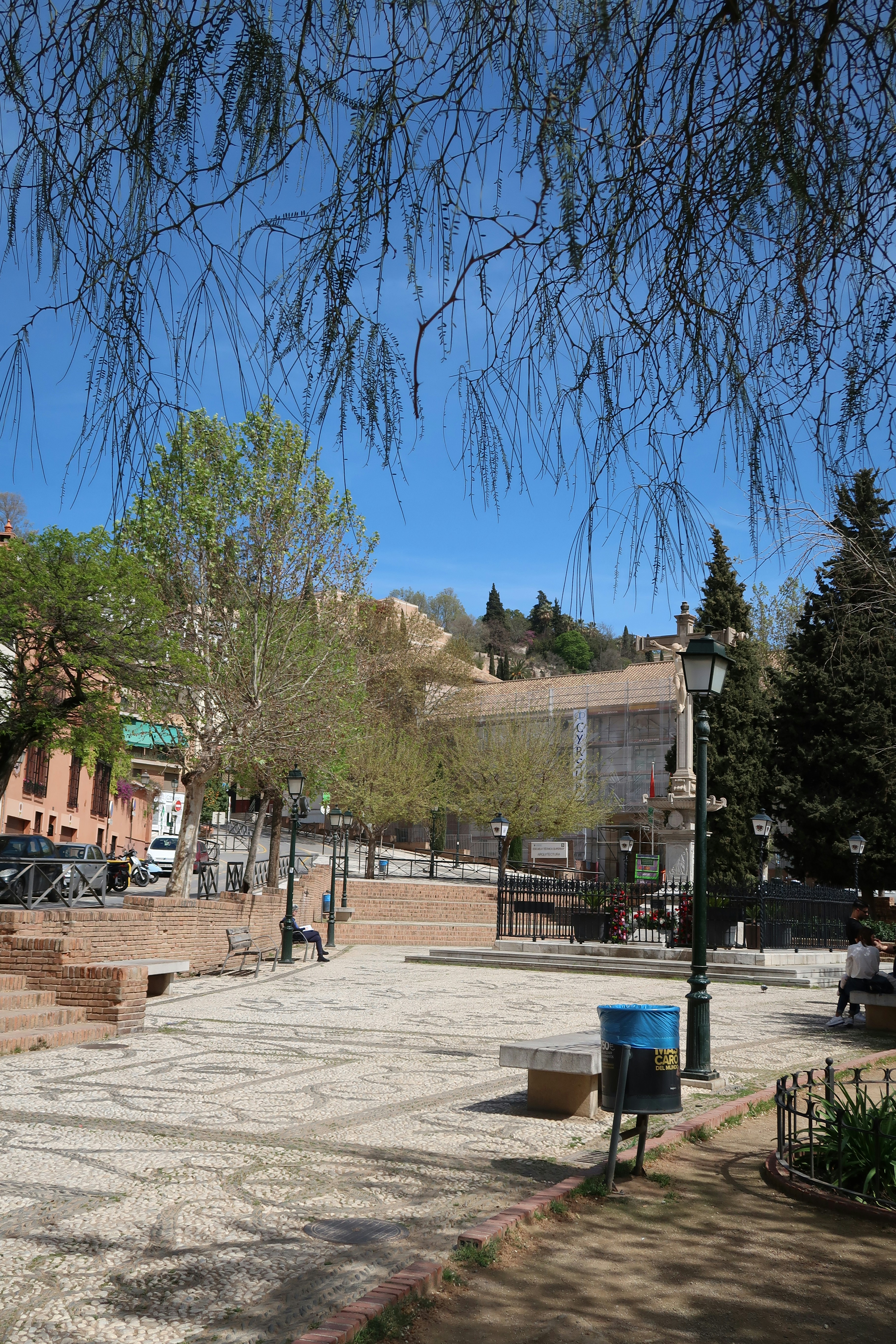 Sunlit plaza where cascading branches frame a quiet town square