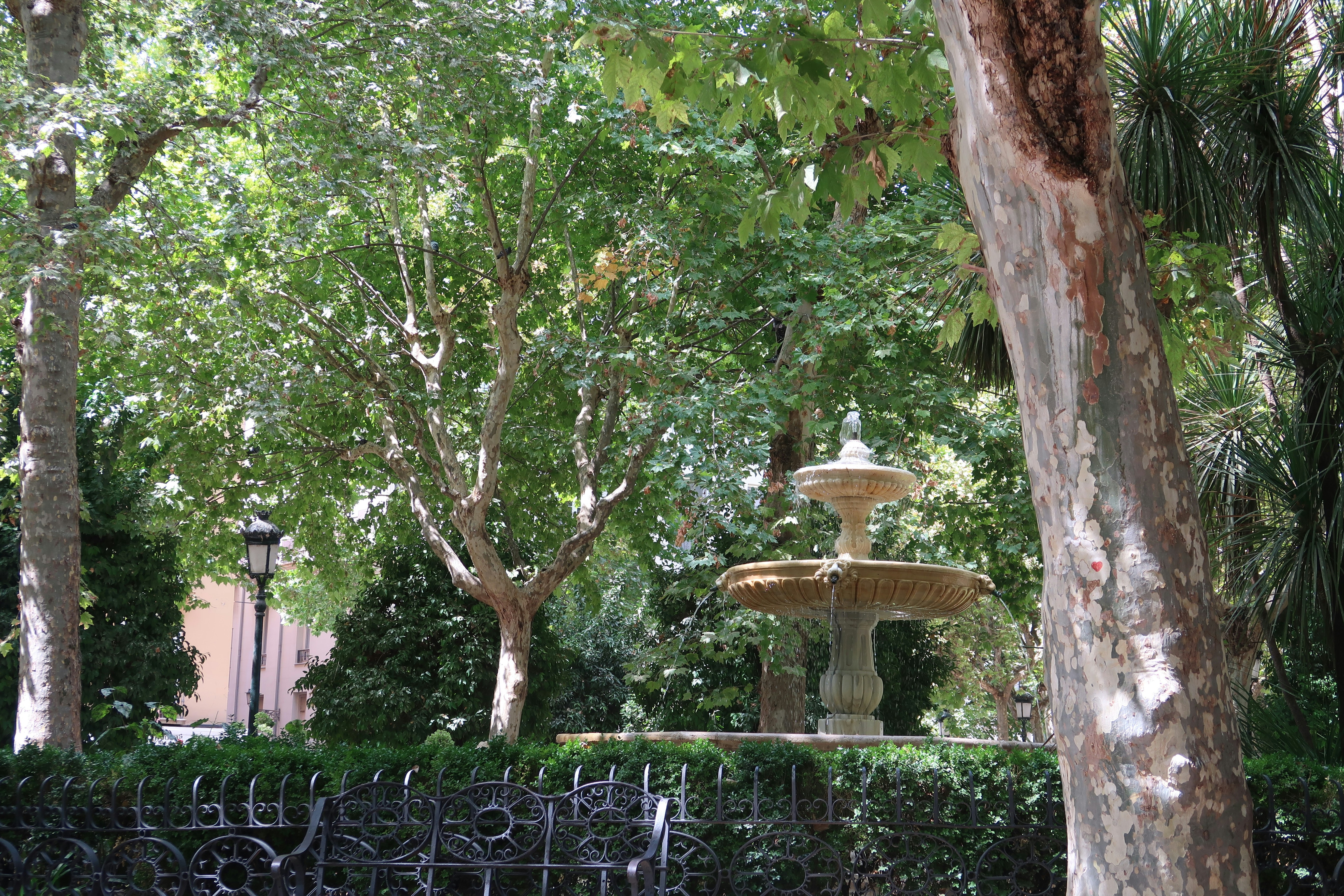 A Quiet Fount of Shade: Garden Fountain Framed by Trunks and Foliage